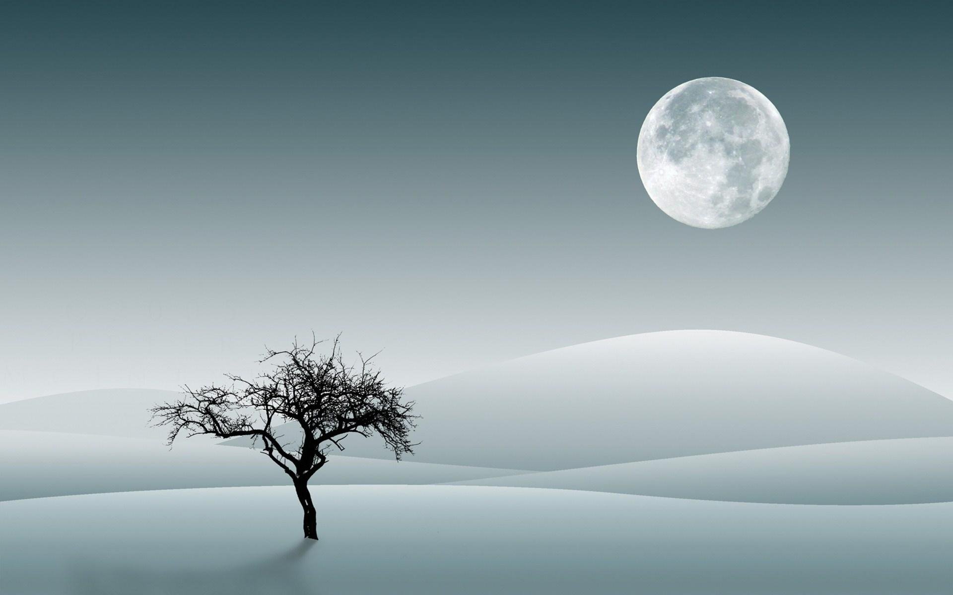 Serene Moonlit Landscape: An Artistic HD Wallpaper of Nature ...