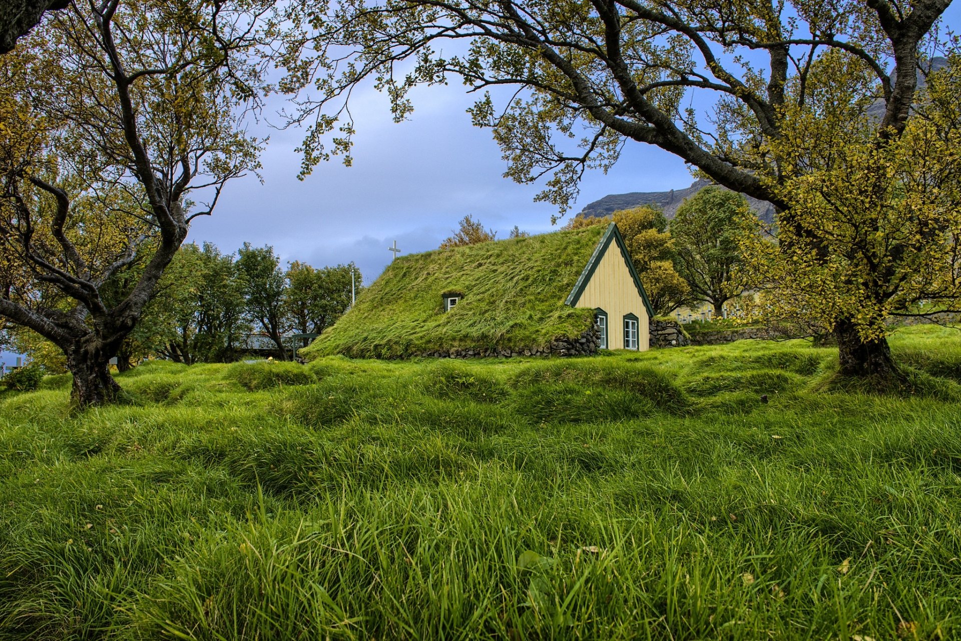 Tranquil Green Haven: A Man-Made House Embraced by Trees and Grass - HD ...
