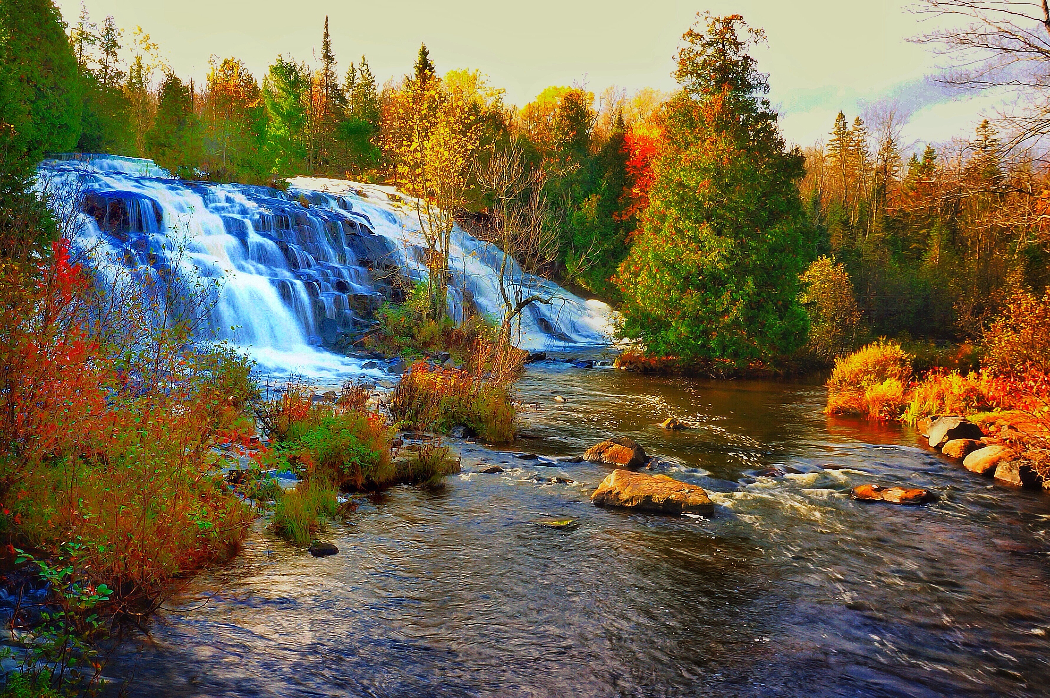 Download Fall Stream Forest Tree Nature Waterfall HD Wallpaper