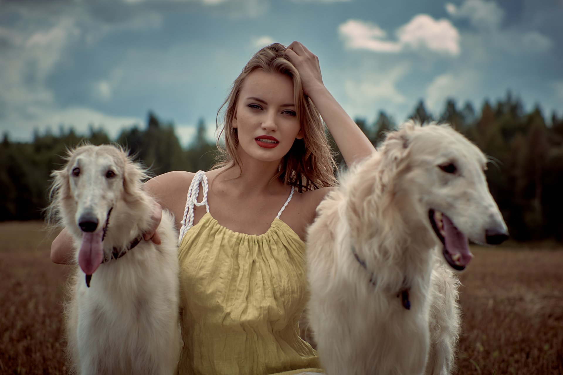 Elegant Blonde Model with Sighthounds – Stunning HD Dog & Beauty ...