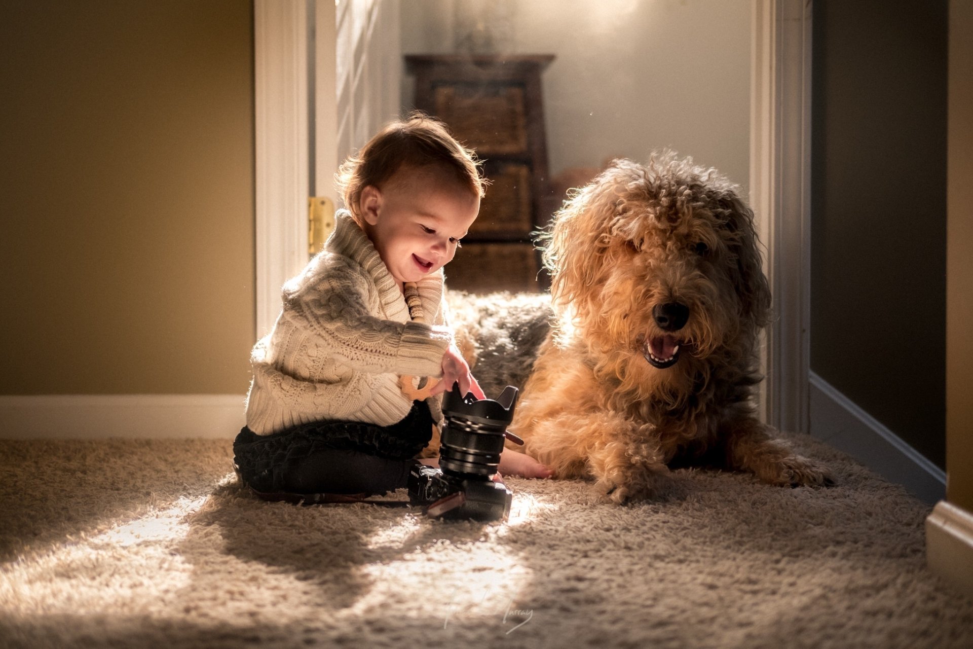 Joyful Moments: Child and Dog Captured in Stunning HD Photography