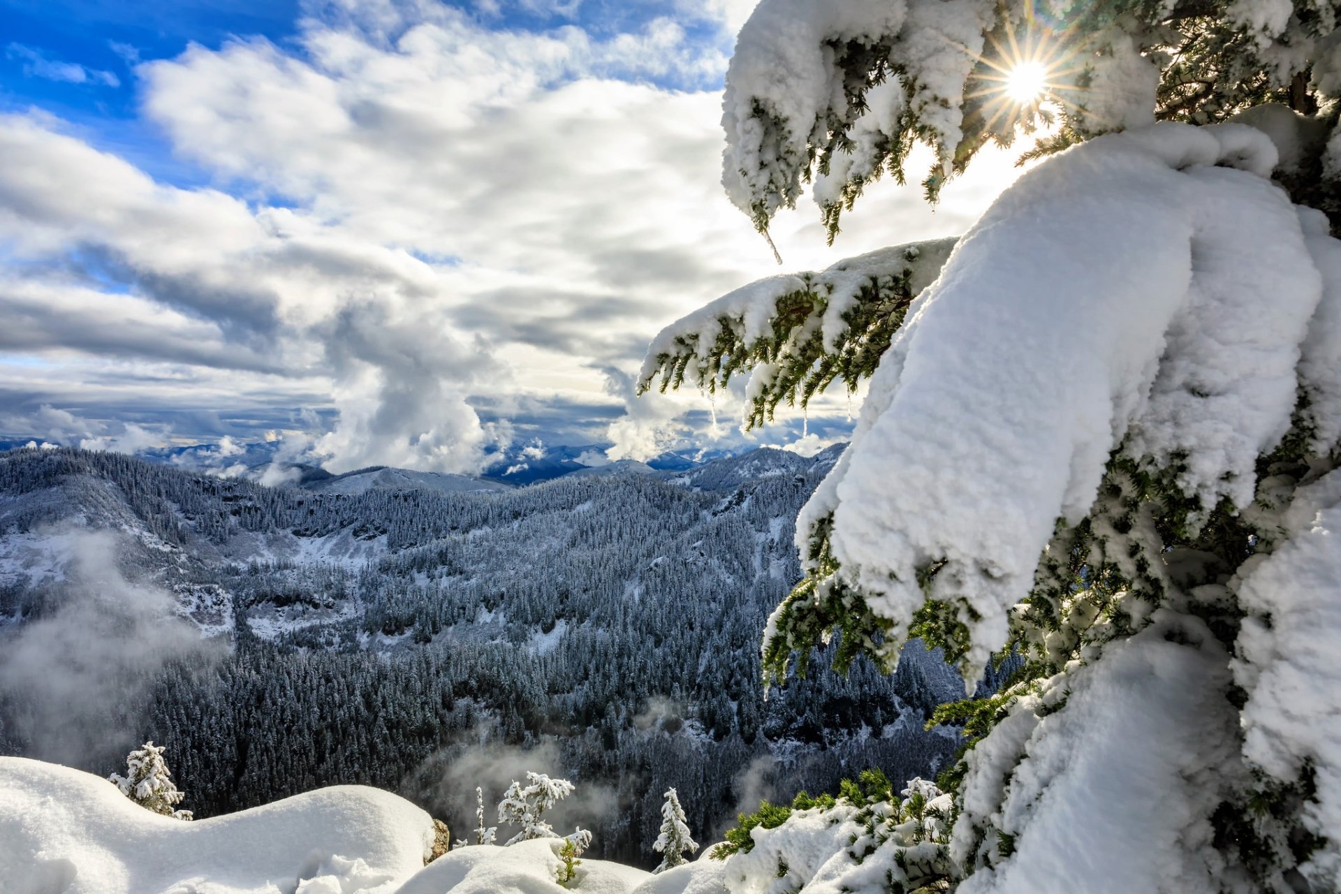 Download Forest Cloud Snow Winter Horizon Panorama Nature Landscape HD ...
