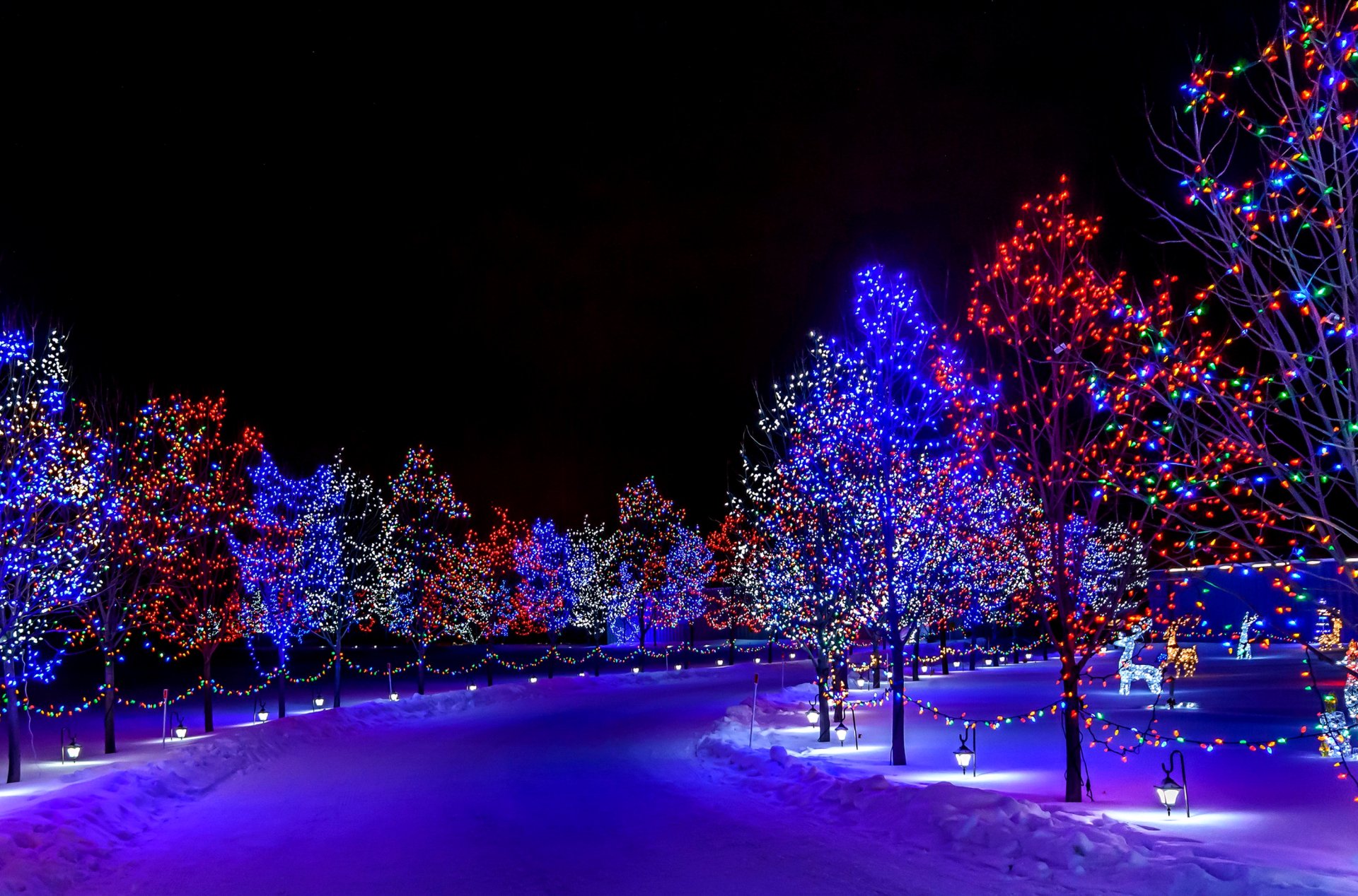 Enchanted Christmas Lights HD Wallpaper