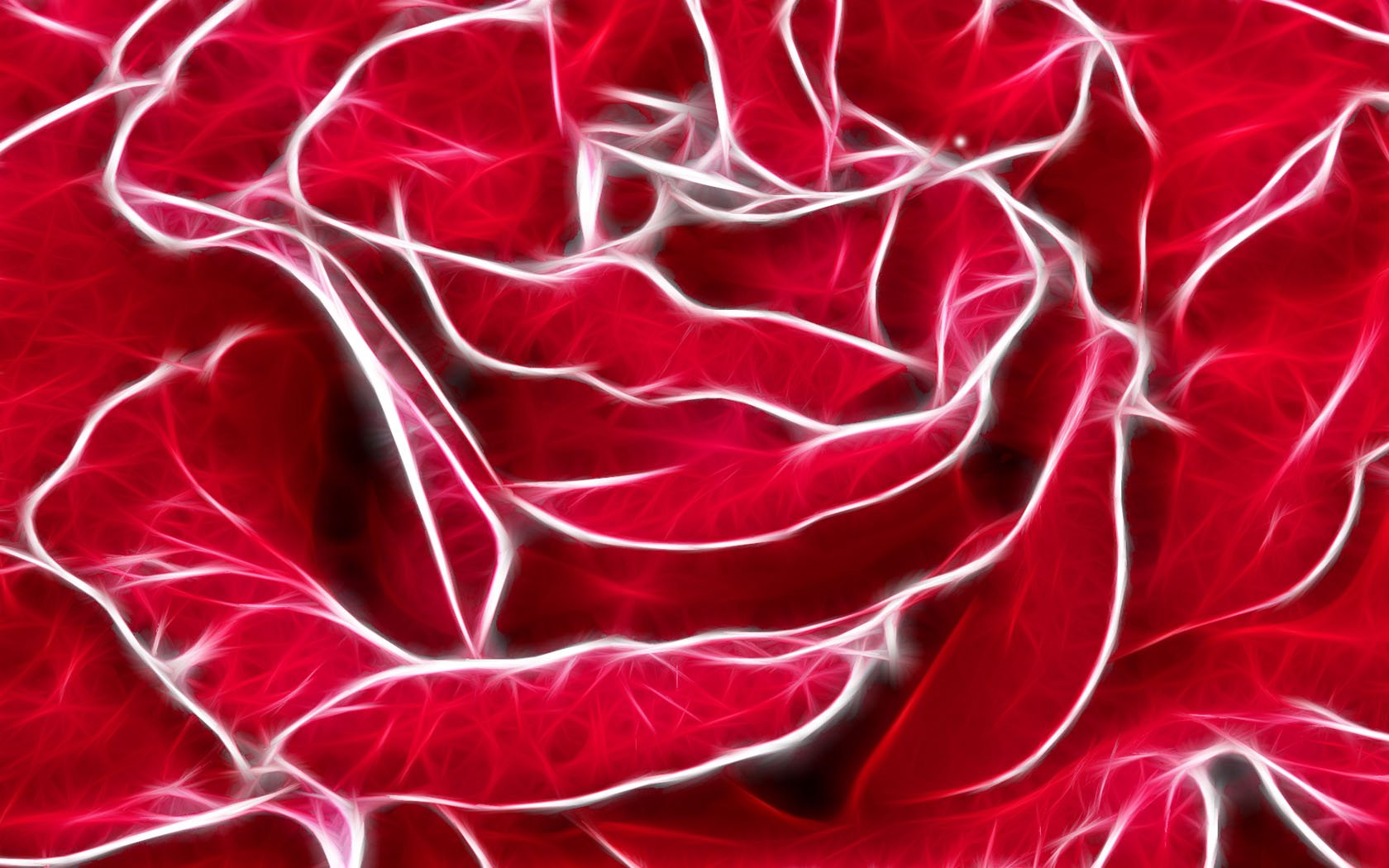 Abstract Rose Glow: HD Artistic CGI Flower Texture Wallpaper