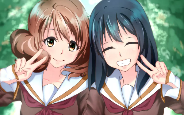 [10+] Reina Kousaka 4k Wallpapers