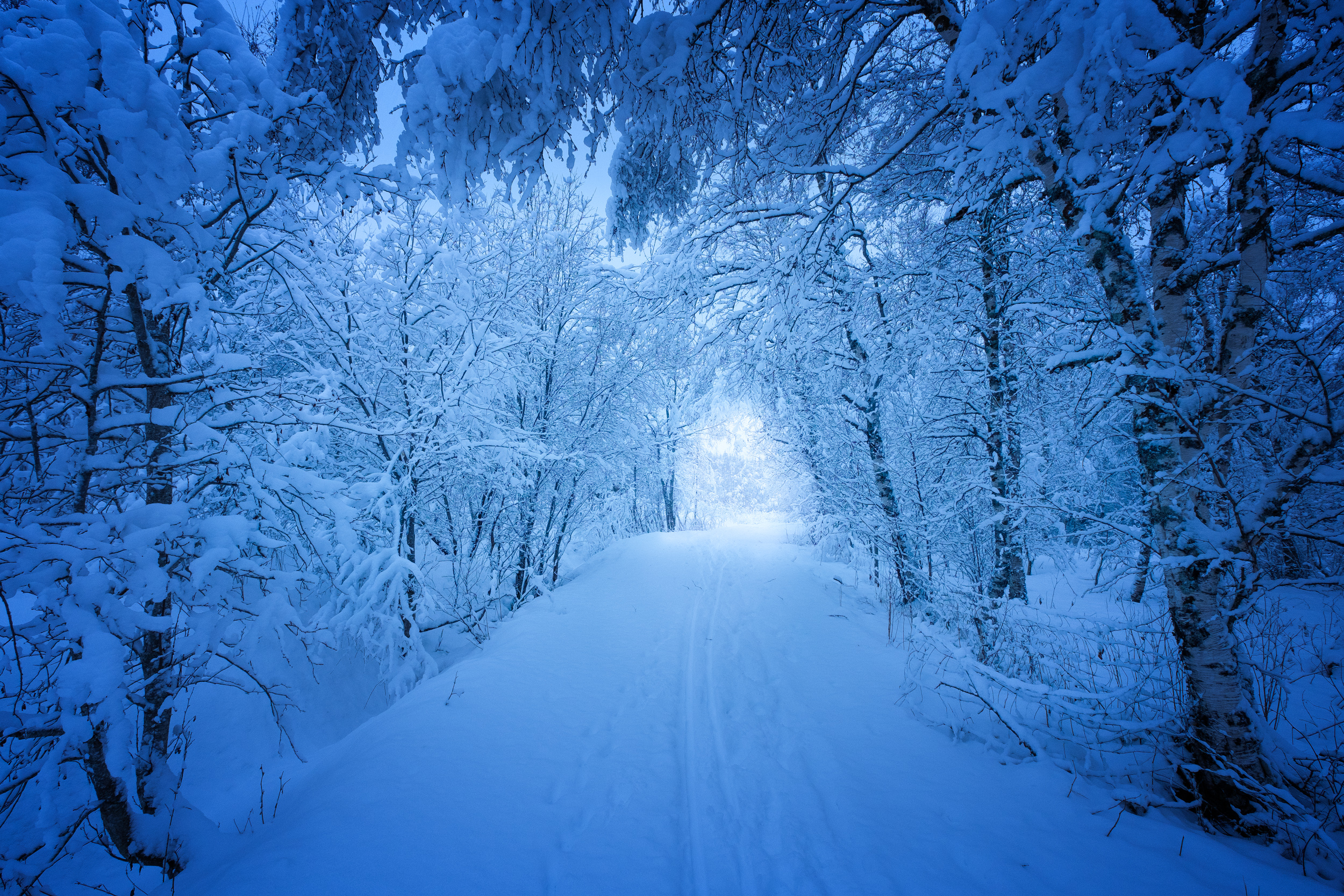 Winter’s Quiet Path: Snow-Covered Road Through Frosty Forest HD Wallpaper