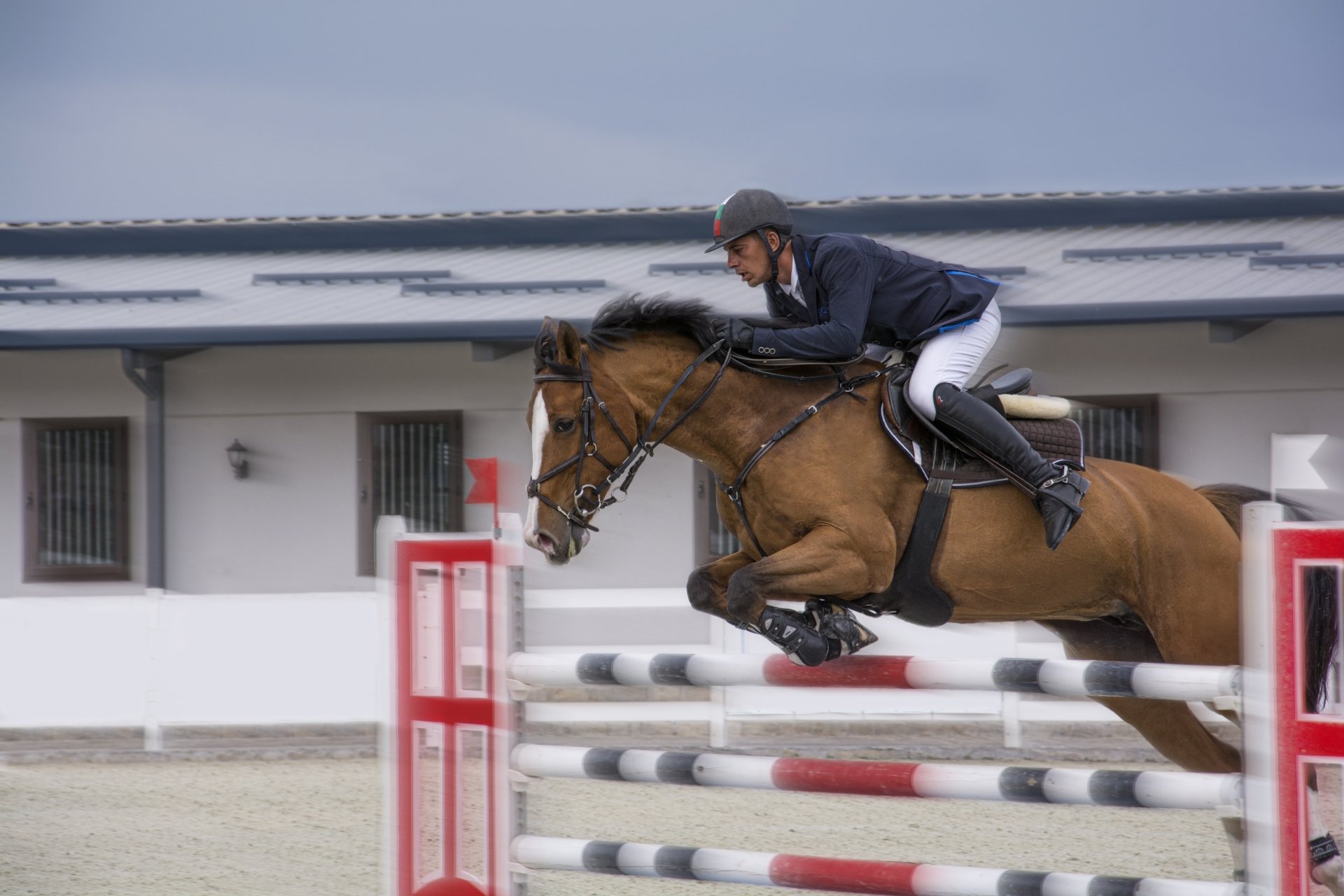 Show Jumping High Definiton Hd Wallpapers All Hd Wallpapers