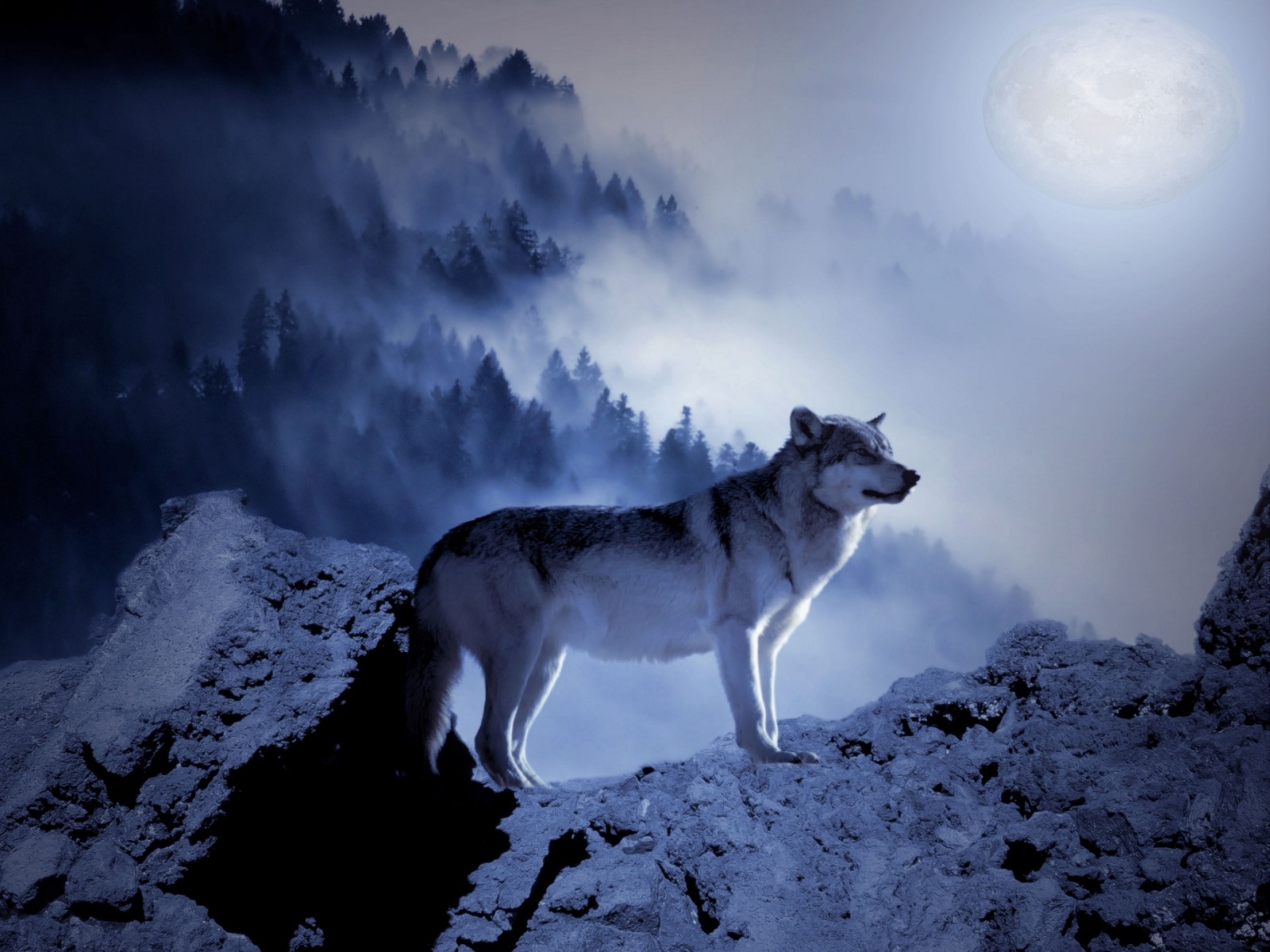 Mystic Wolf Under Moonlight HD Wallpaper