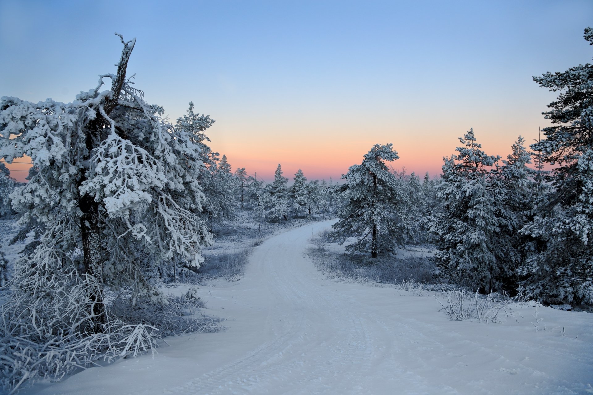 Download Sky Sunset Forest Tree Nature Path Snow Winter 4k Ultra HD ...