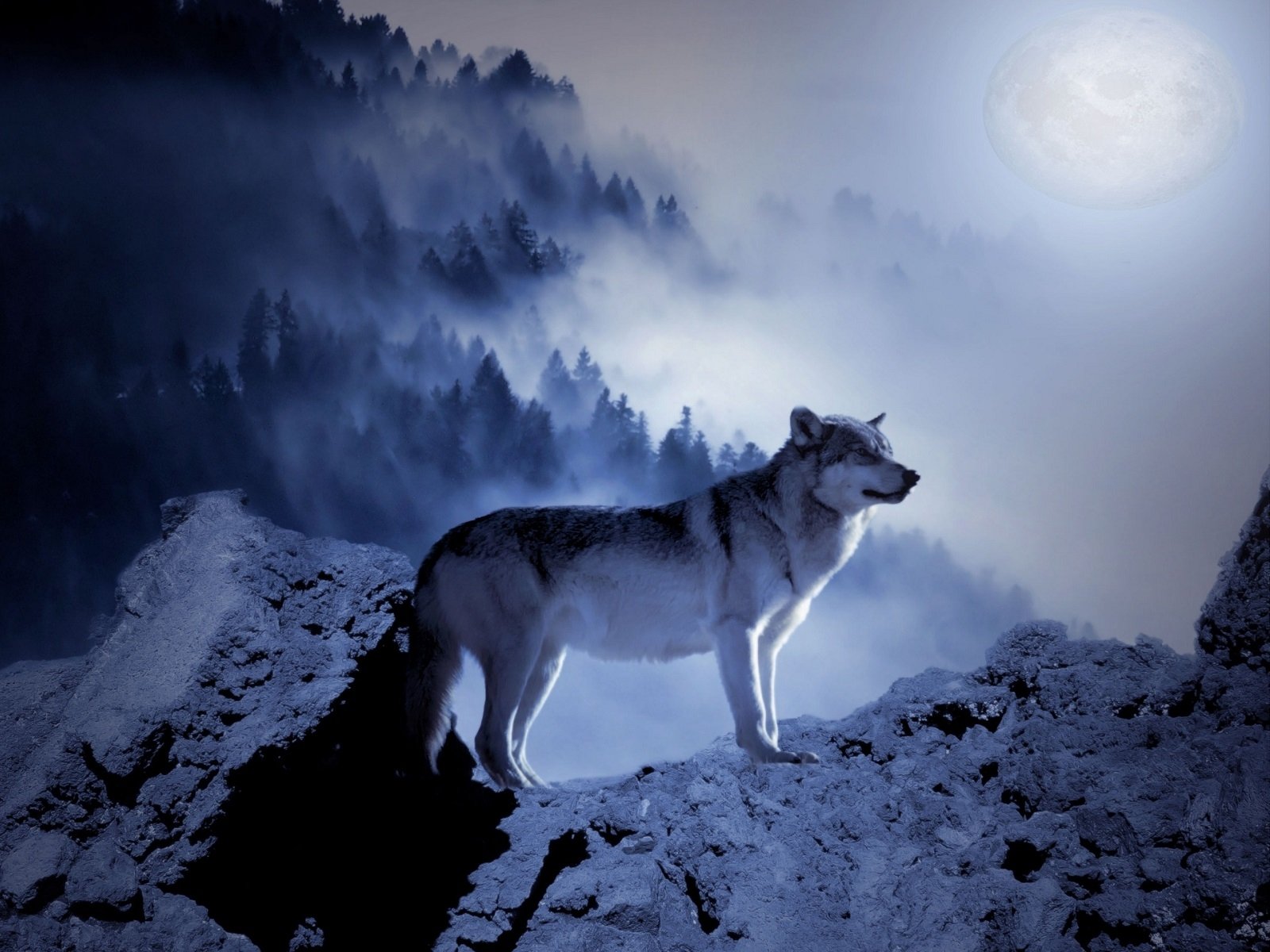 Mystic Wolf Under Moonlight HD Wallpaper