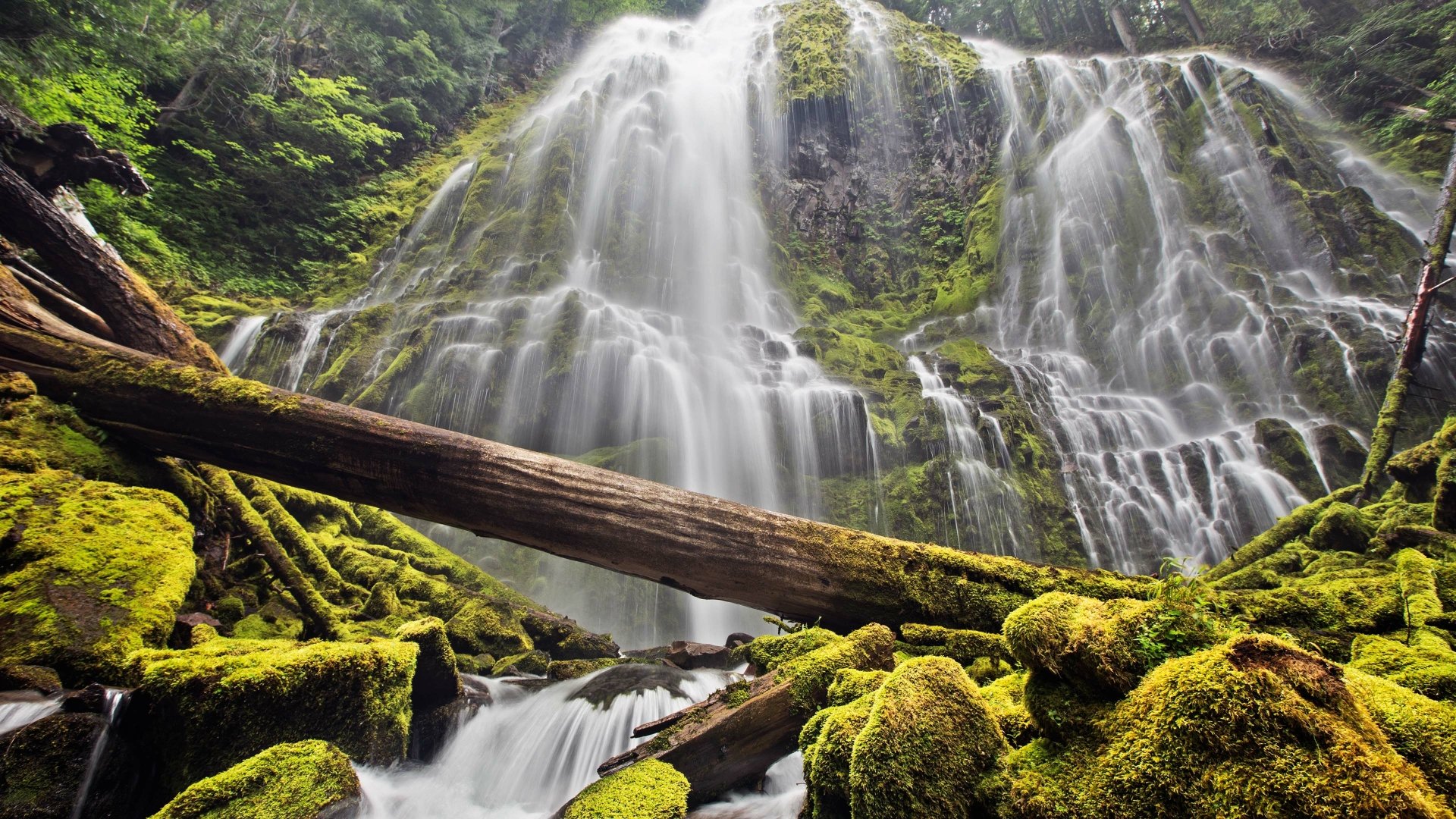 Moss-Covered Log Beneath a Majestic 4K Forest Waterfall