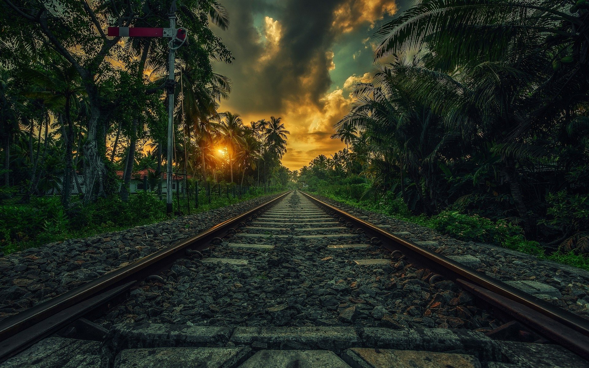 Download Palm Tree Sunset Cloud Sky Man Made Railroad HD Wallpaper