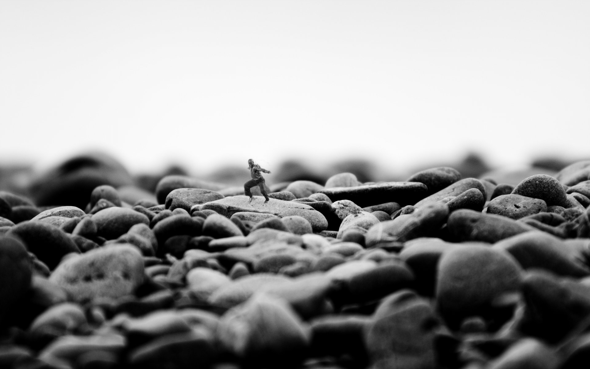 Black & White Manipulation: HD Wallpaper of Resilience on Rocks