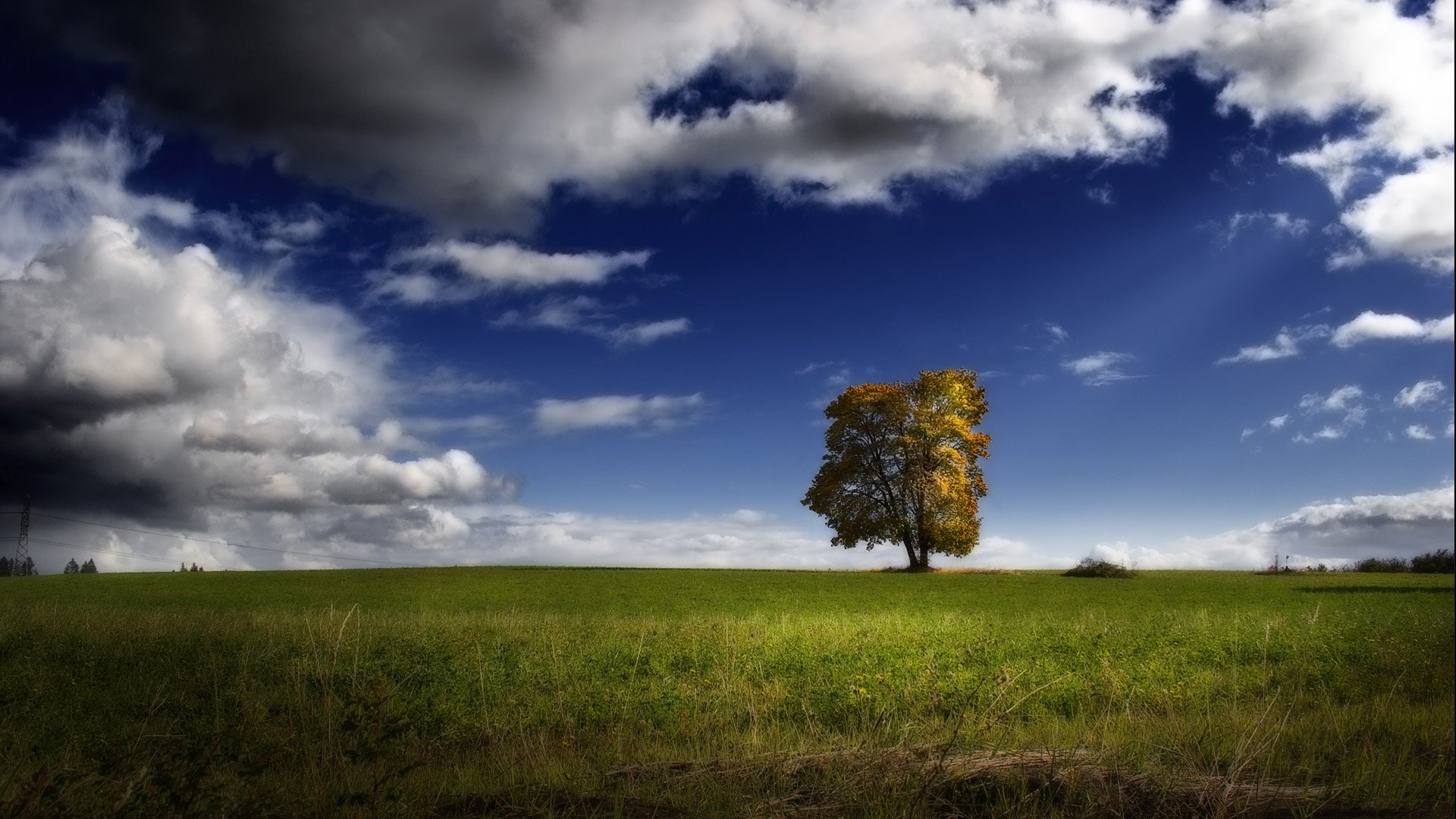 Download Artistic Nature HD Wallpaper | 1920x1080 | Wallpaper Abyss
