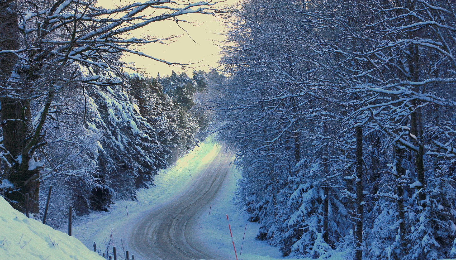 Winter Road
