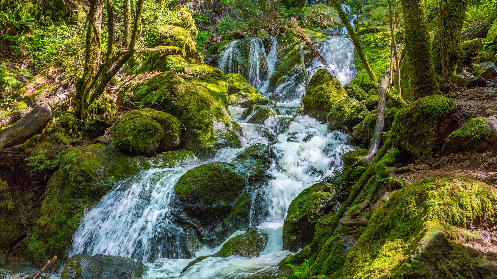 Ruscello HD Wallpaper | Sfondo | 3556x2000 | ID:798048 - Wallpaper Abyss