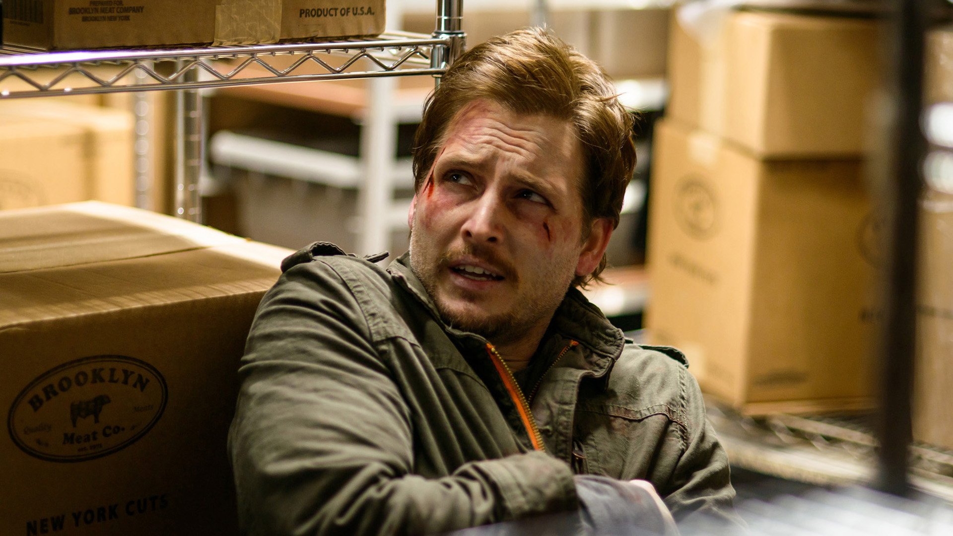 Download Movie Freezer HD Wallpaper