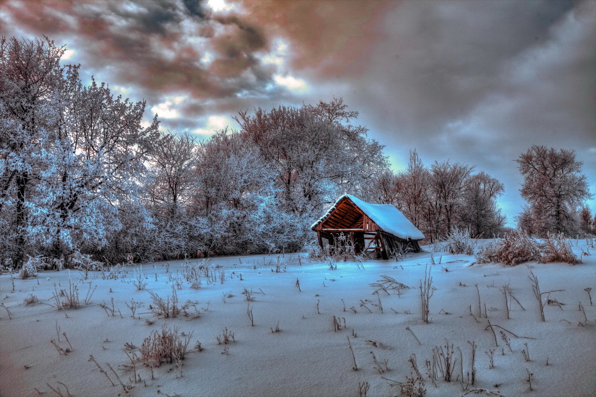 Download Cloud Snow Tree Field Winter Man Made Shack HD Wallpaper