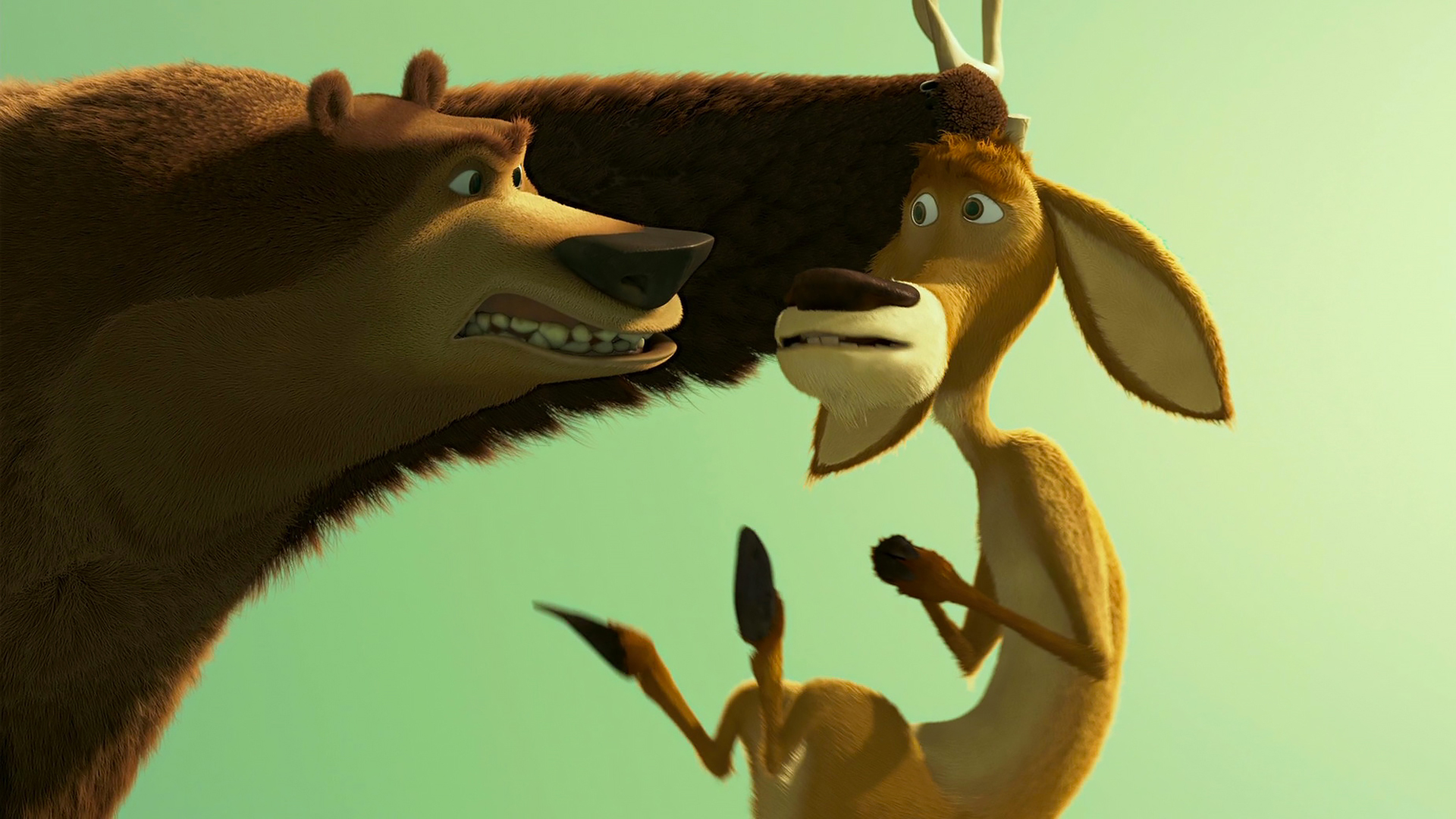 Download Movie Open Season (2006) HD Wallpaper