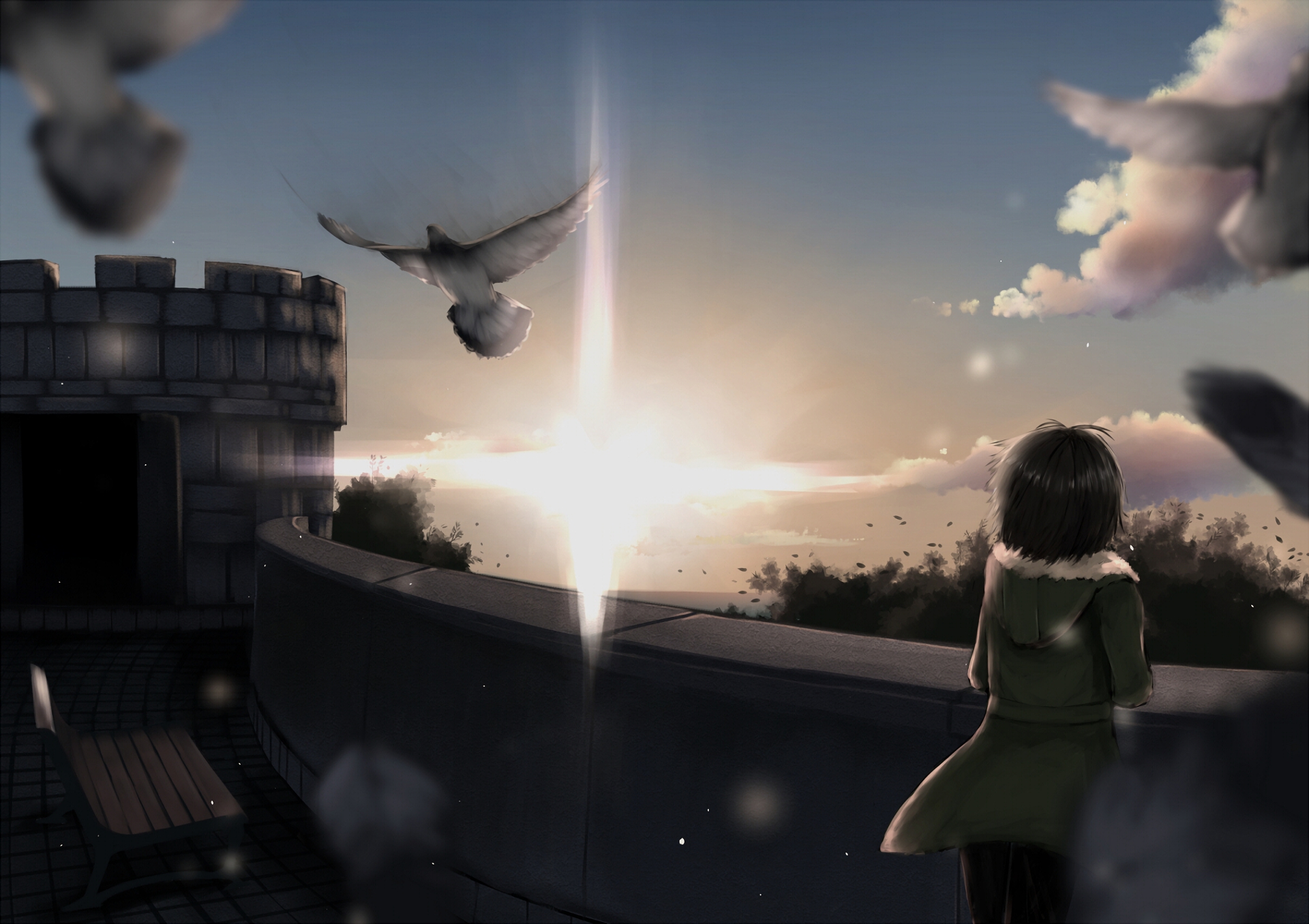 Download Bird Anime Original Anime Bird HD Wallpaper