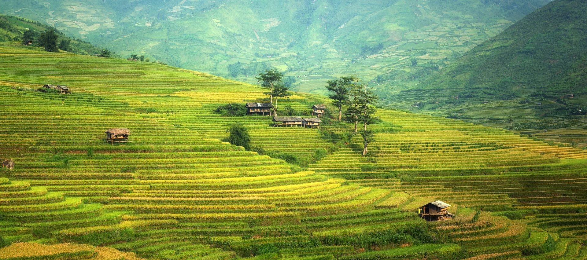 Download Landscape Man Made Rice Terrace 4k Ultra HD Wallpaper