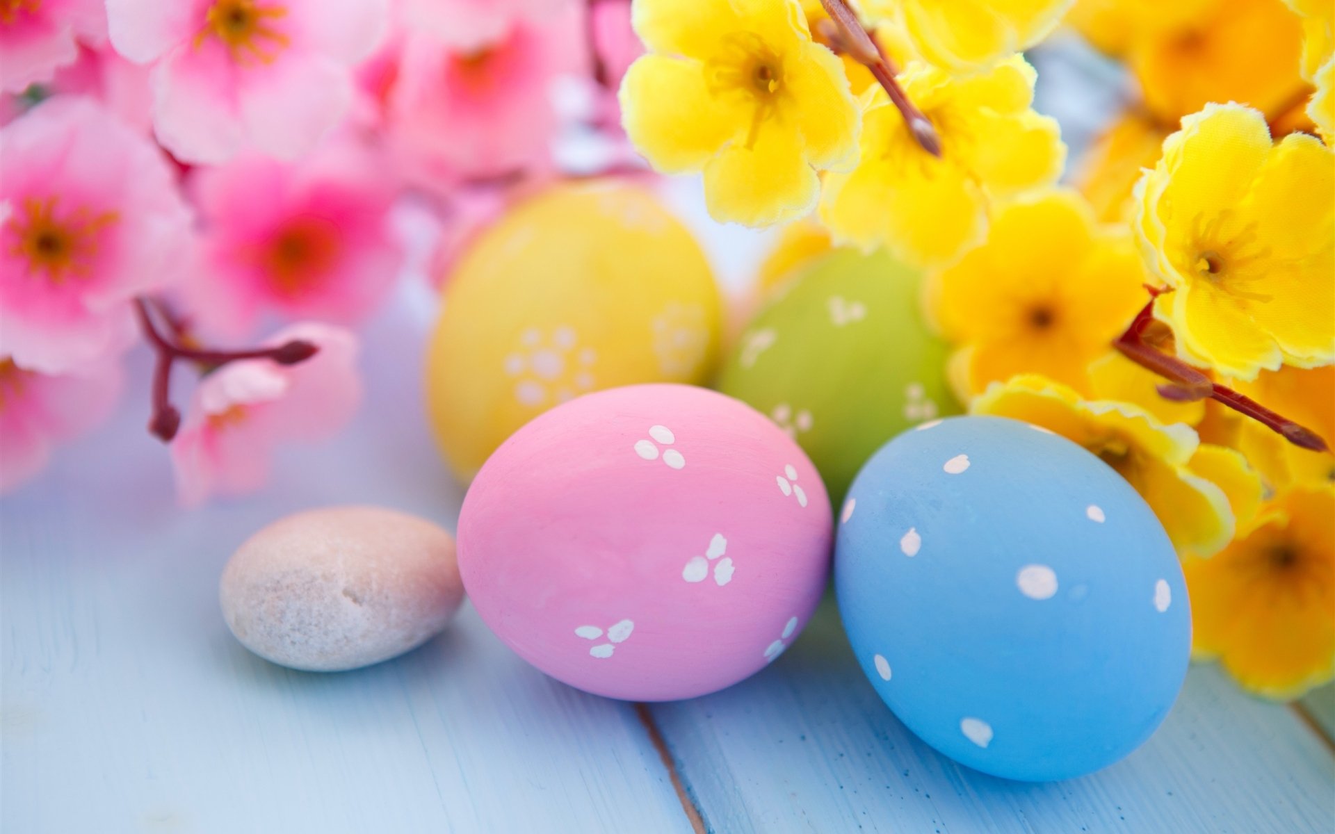 Easter Blossom: Colorful Painted Eggs and Vibrant Spring Flowers HD ...