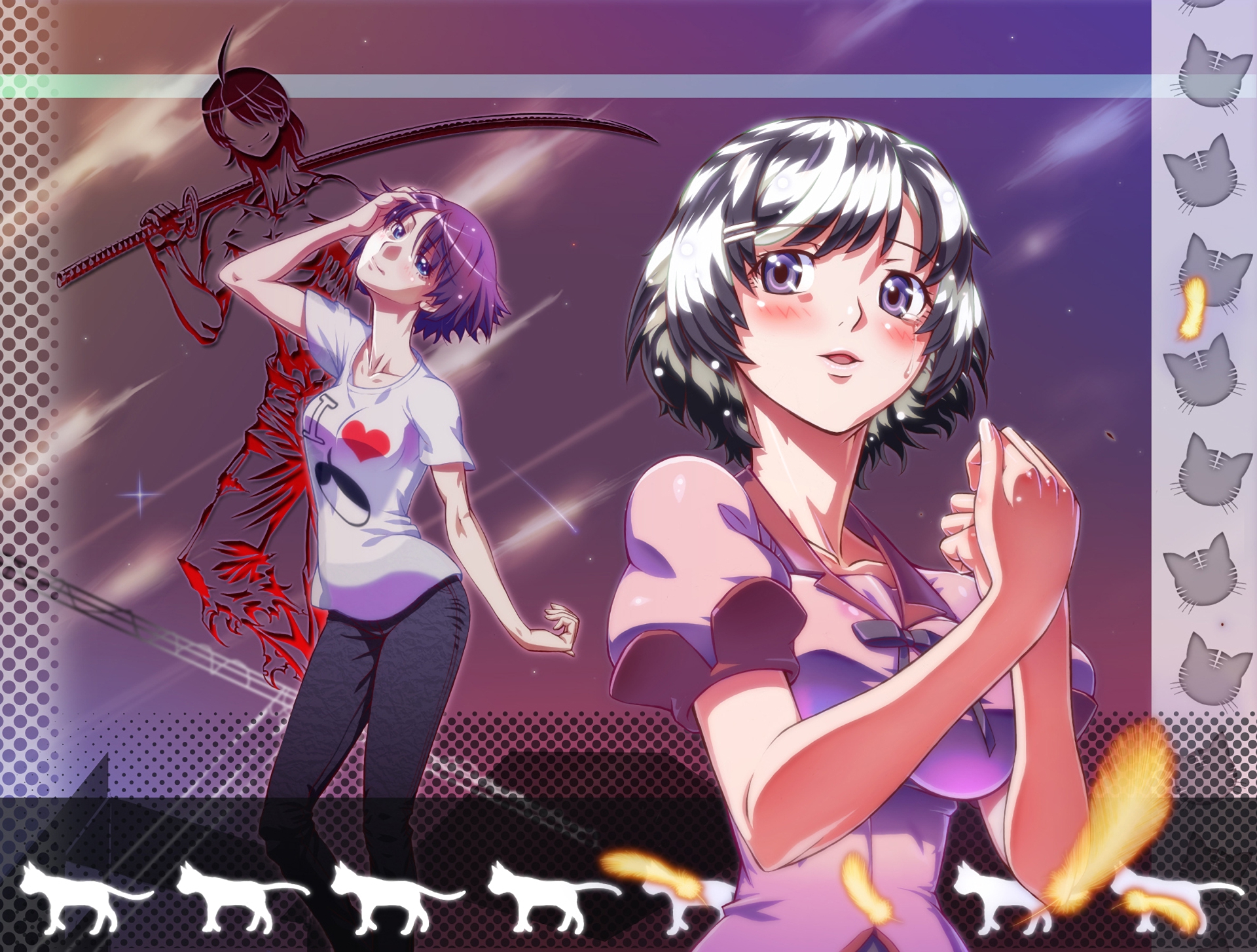Download Tsubasa Hanekawa Anime Monogatari (Series) HD Wallpaper