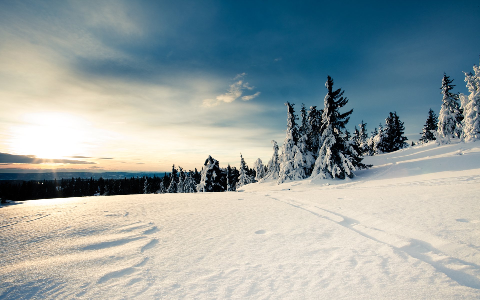Winter Sky HD: Serene Snowbound Landscape | 1920x1200 | Wallpaper Abyss