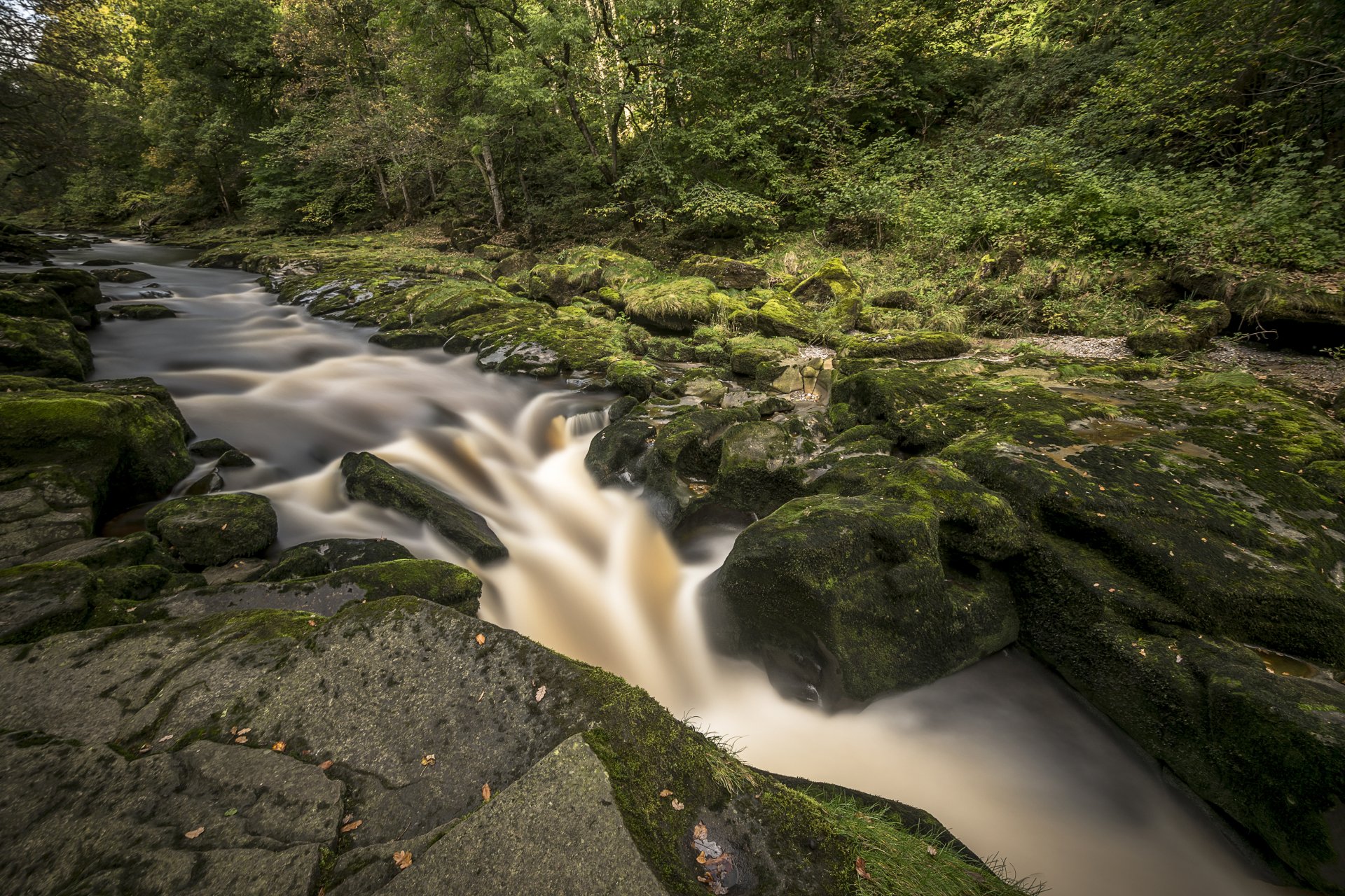 Download Foam Nature Stream 4k Ultra HD Wallpaper