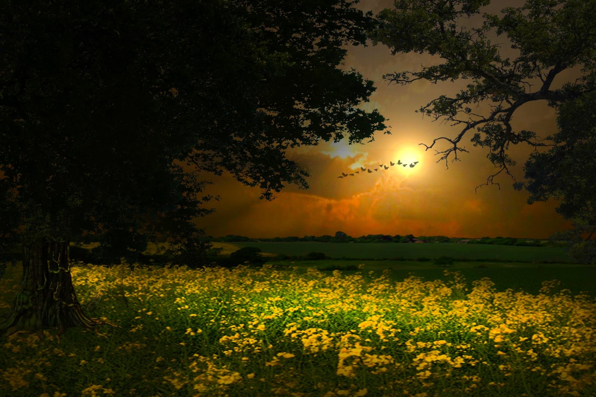 Download Tree Cloud Sun Rapeseed Flower Field Nature Sunset HD Wallpaper