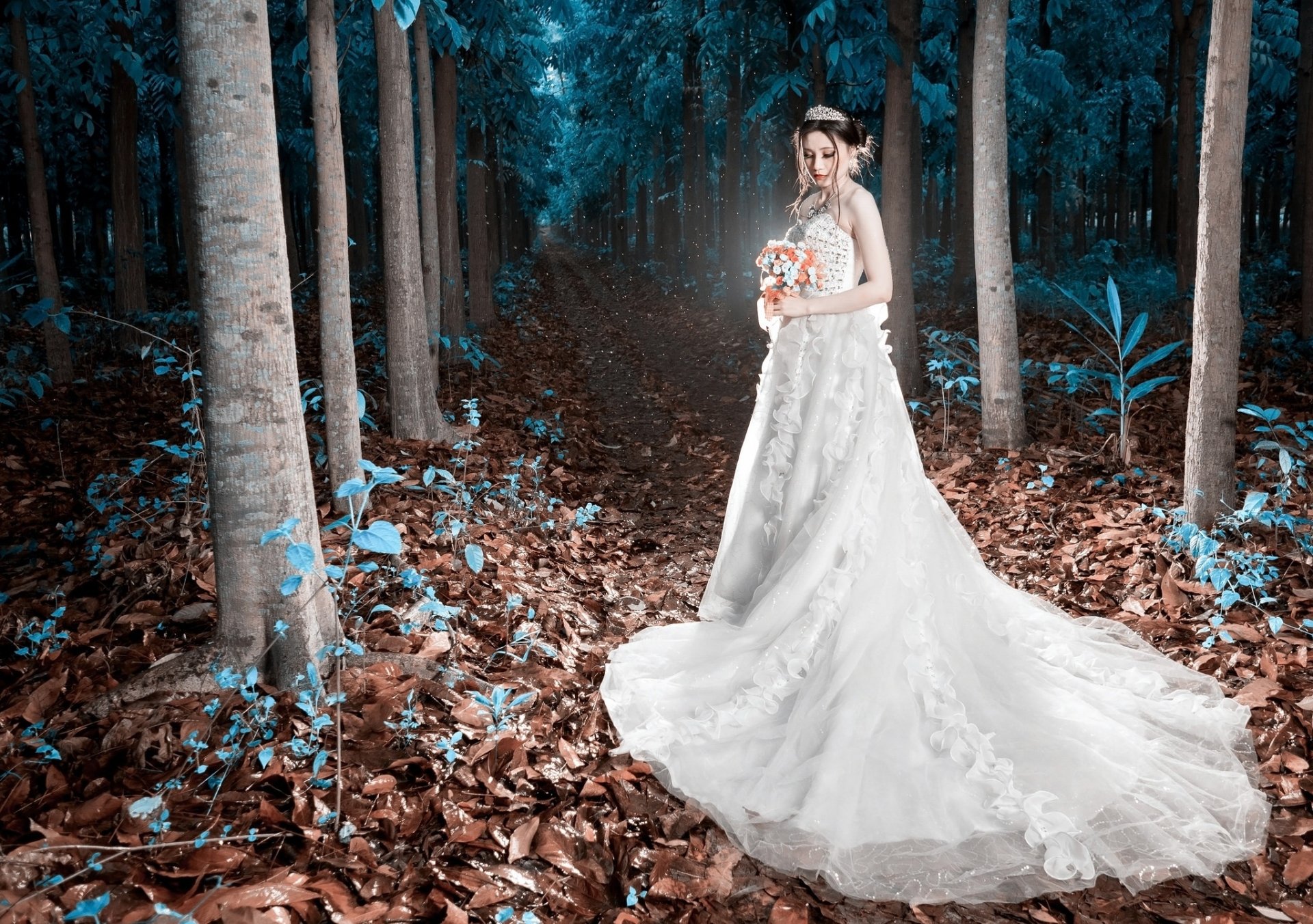 Download Mood Fall Nature Path Forest White Dress Wedding Dress Model ...