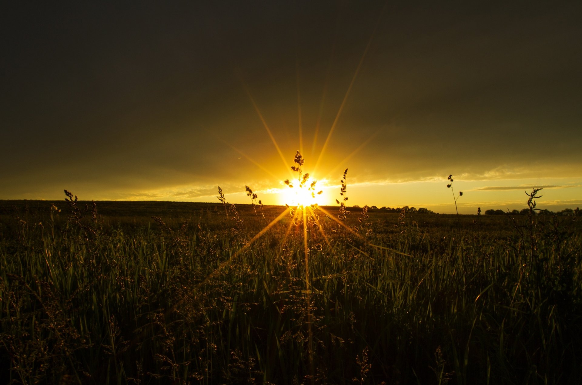 Download Field Sun Sunbeam Sky Nature Sunrise HD Wallpaper