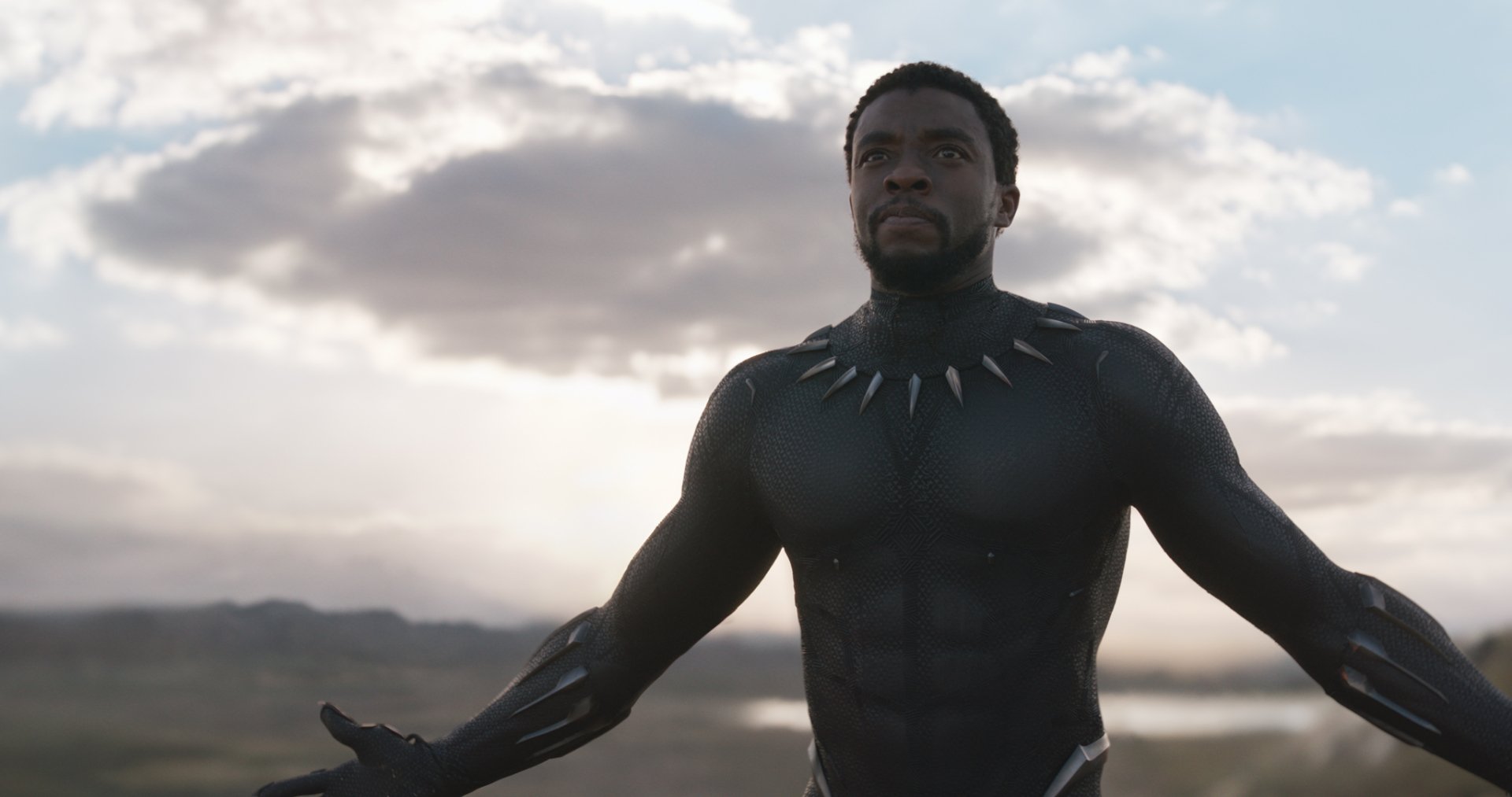 Chadwick Boseman as Black Panther HD Wallpaper