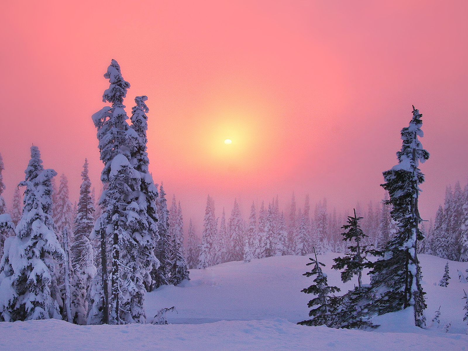 Nature Sunset Wallpaper