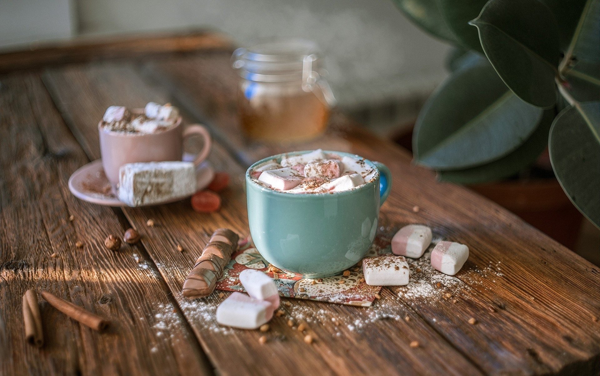 Cozy Hot Chocolate with Marshmallows – HD Still Life Delight ...