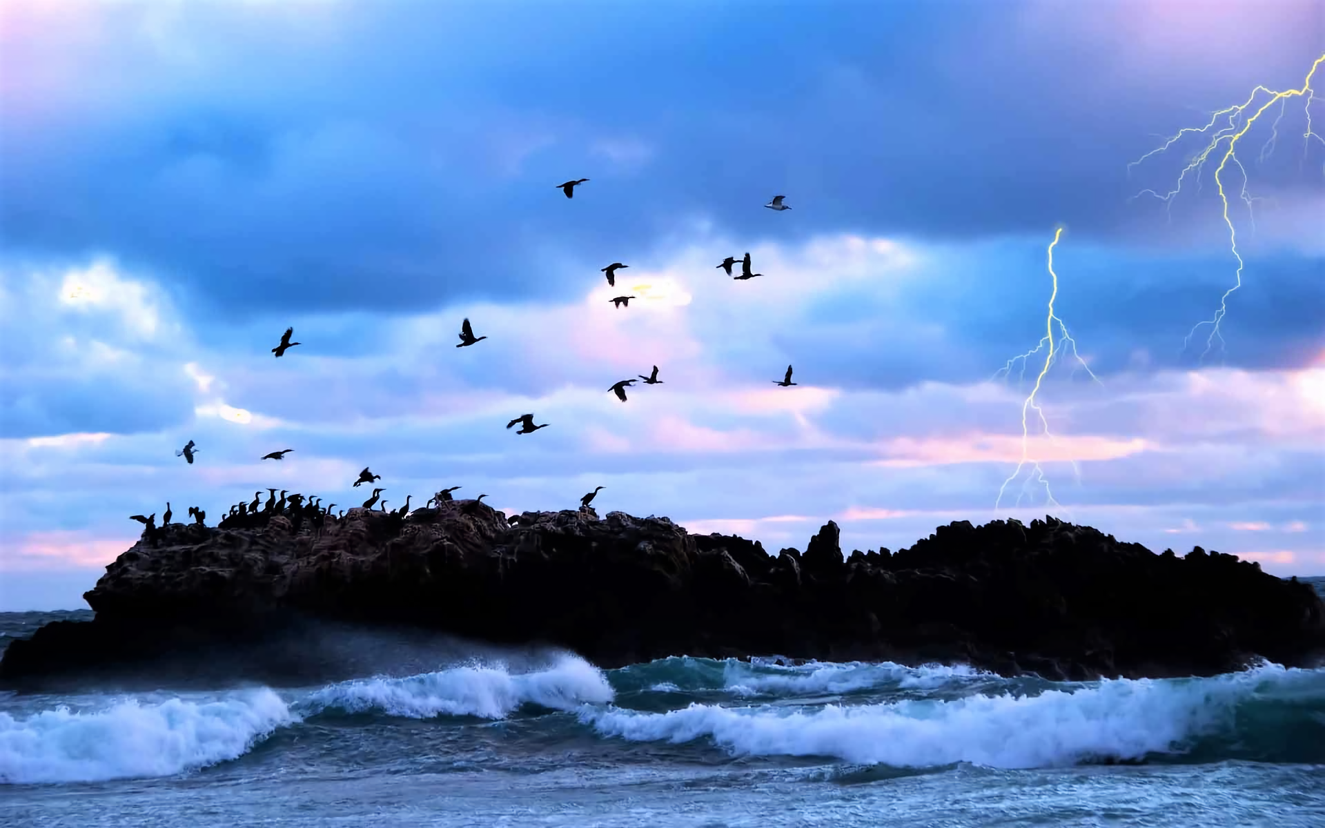 Download Bird Beach Sea Ocean Sunset Sky Earth Photography Lightning HD ...