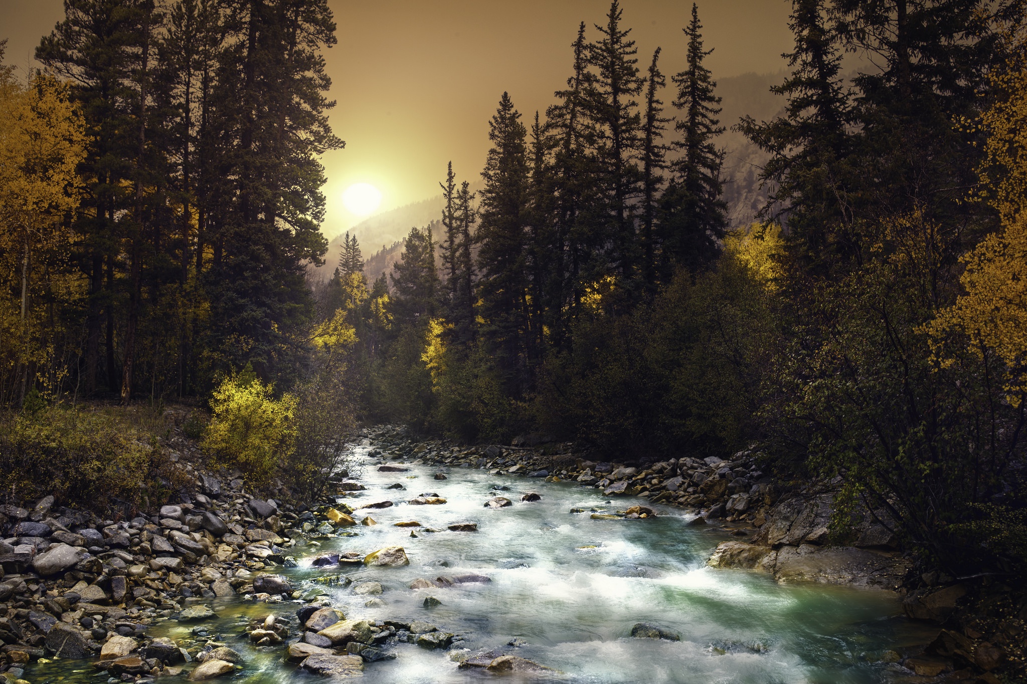 Sunrise Forest River - HD Wallpaper