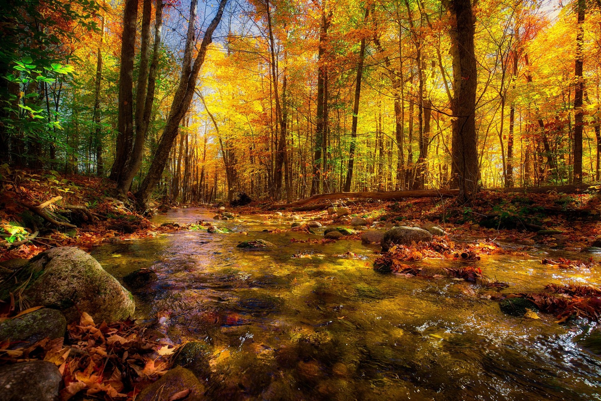Golden Fall Forest River – Stunning HD Nature Wallpaper | 2048x1365 ...