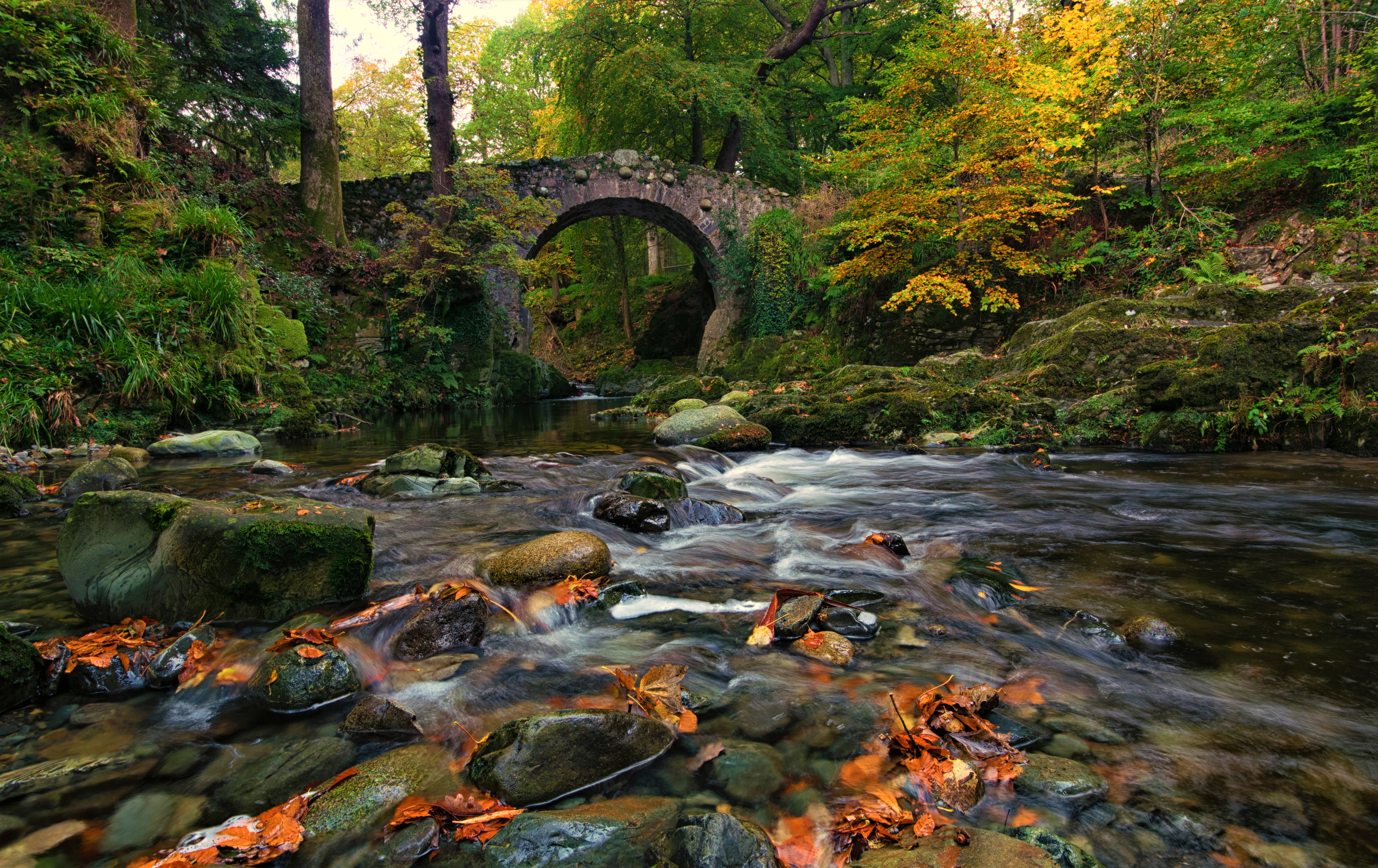 Autumn Bridge in Forest - 4K Ultra HD Wallpaper