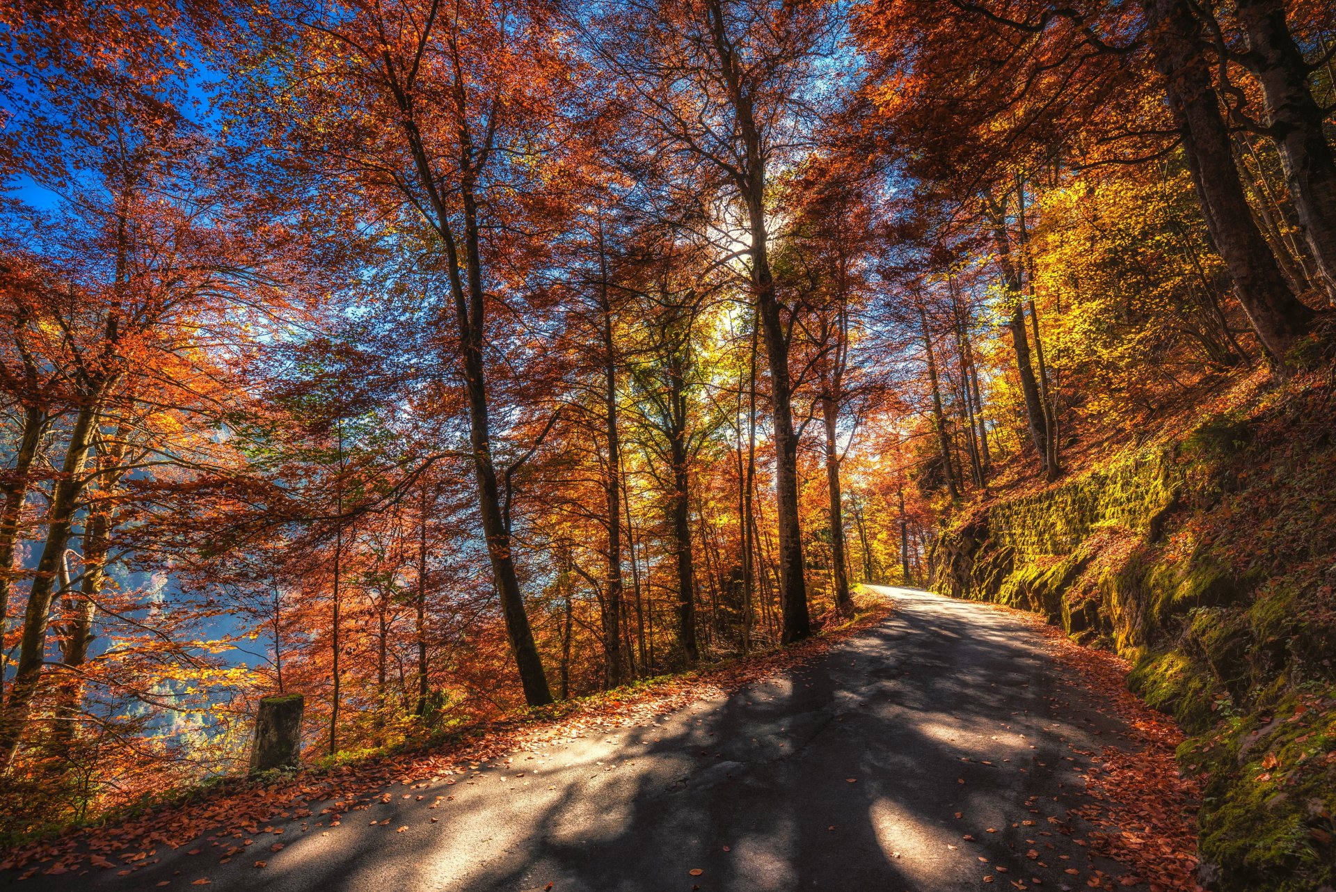 Fall Path Wallpaper 1080p