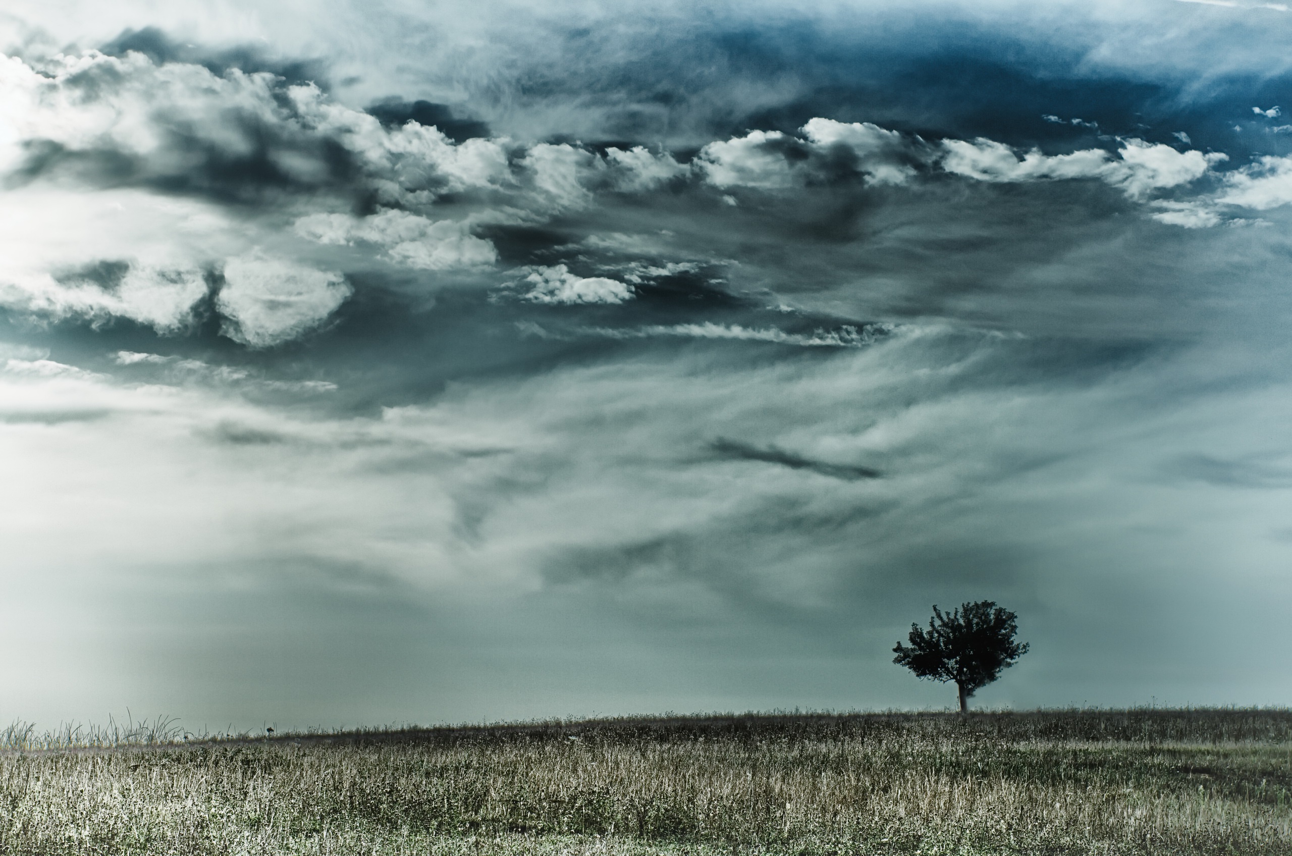 Download Cloud Sky Lonely Tree Nature Tree HD Wallpaper