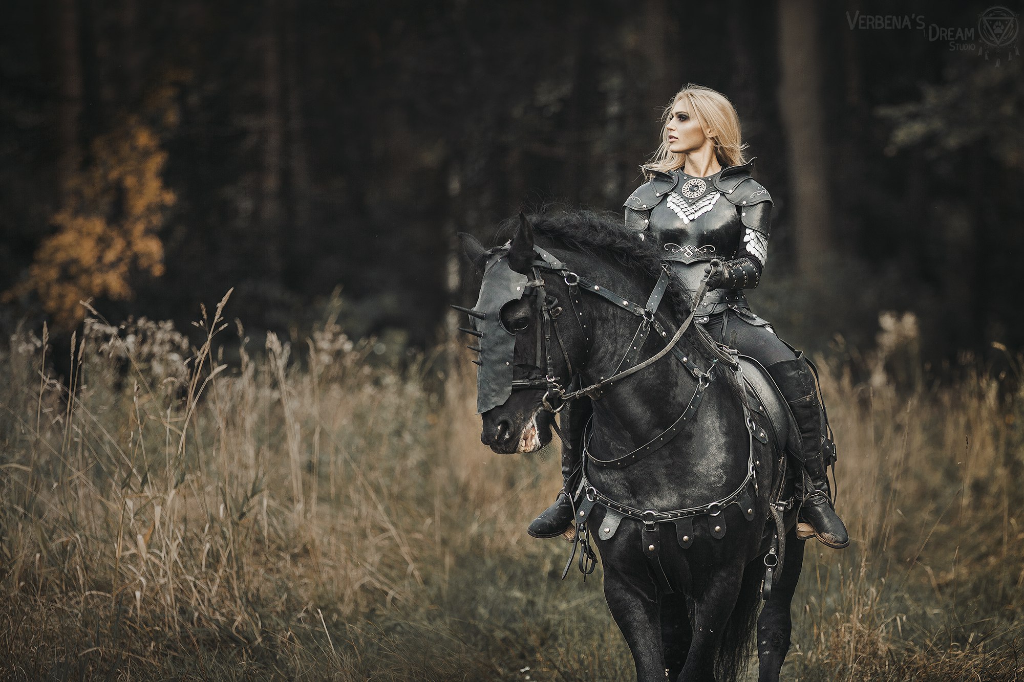 Epic Woman Cosplay Rider: HD Fantasy Wallpaper by Verbena's Dream Studio