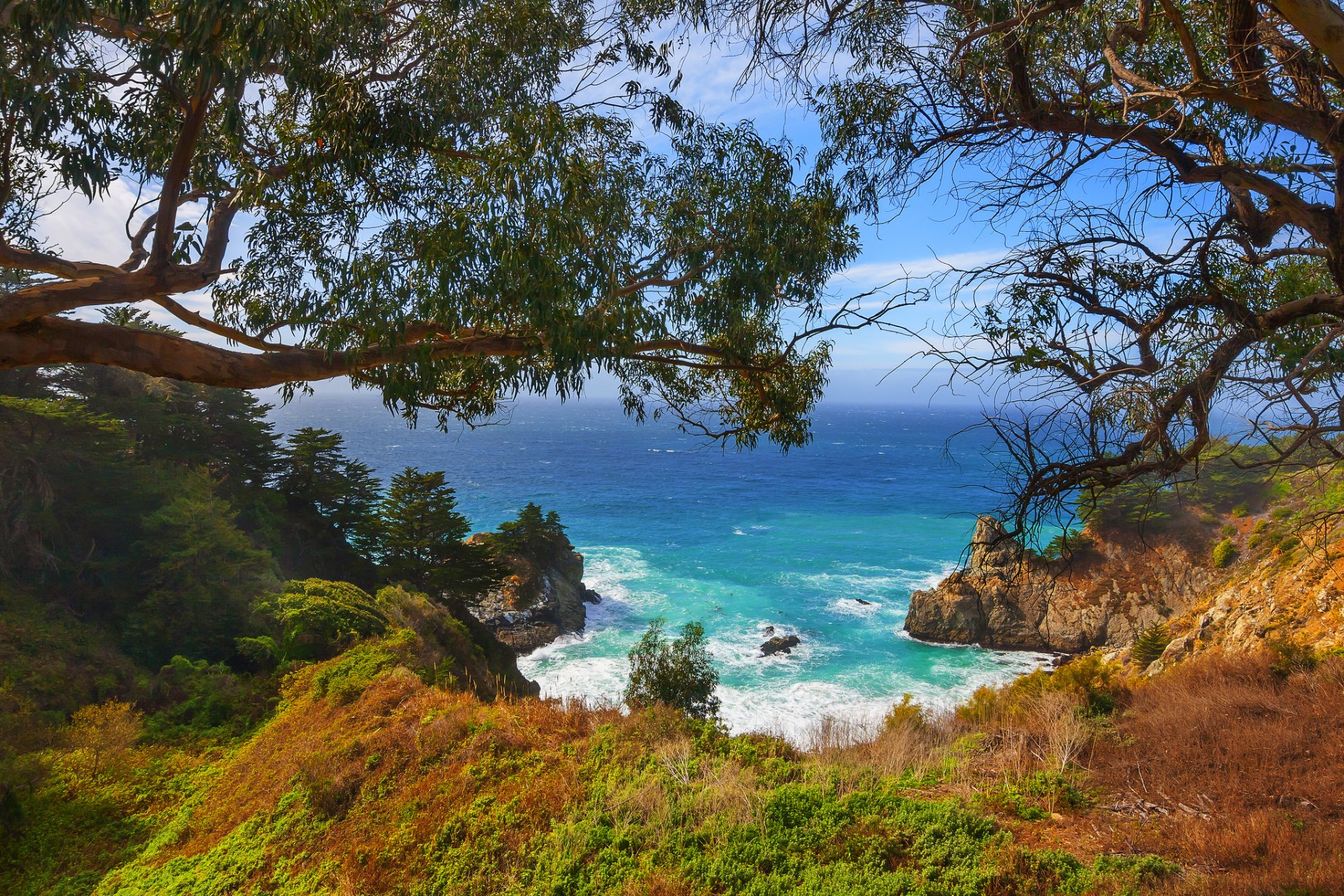 Download Tree Cliff California Big Sur Sea Ocean Nature Coastline HD ...
