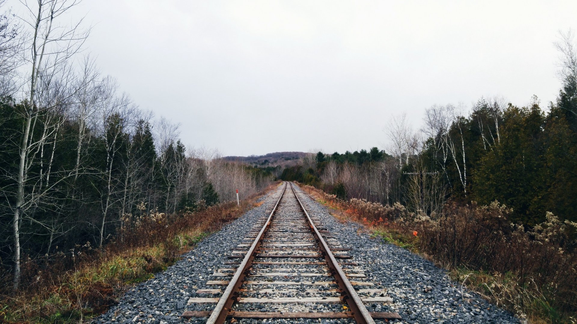 Endless Tracks: Nature Meets Man-Made Railroad HD Wallpaper | 2560x1440 ...