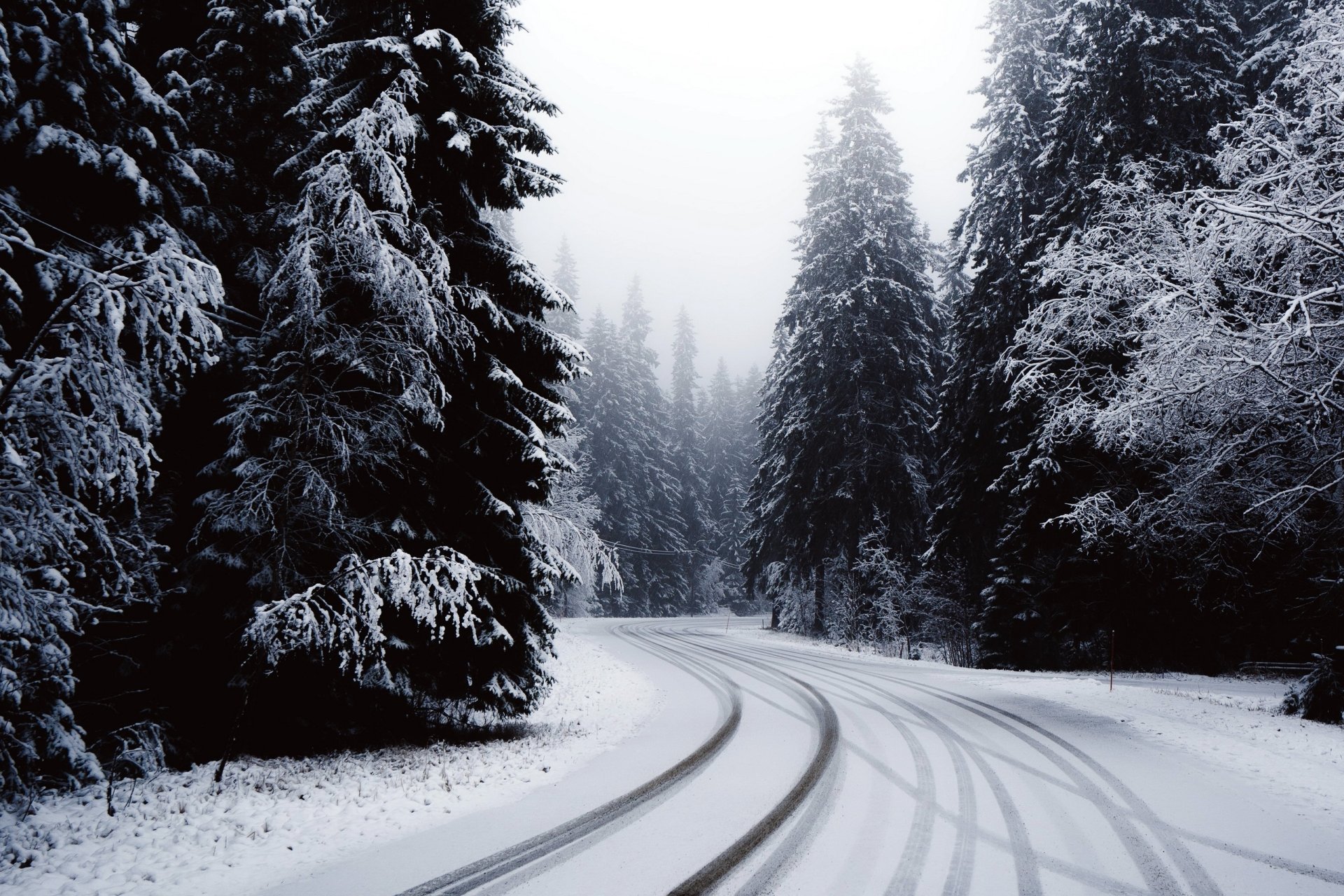 Winter Wonderland: Serene Snow-Covered Forest Road HD Wallpaper