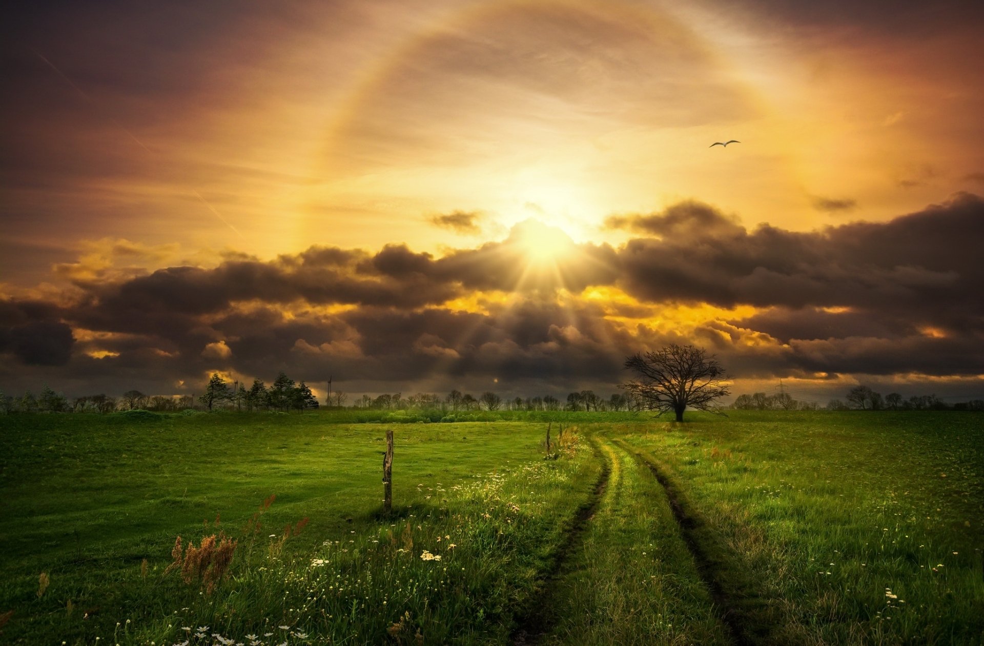 Download Sunset Field Cloud Sky Path Nature Sunbeam HD Wallpaper