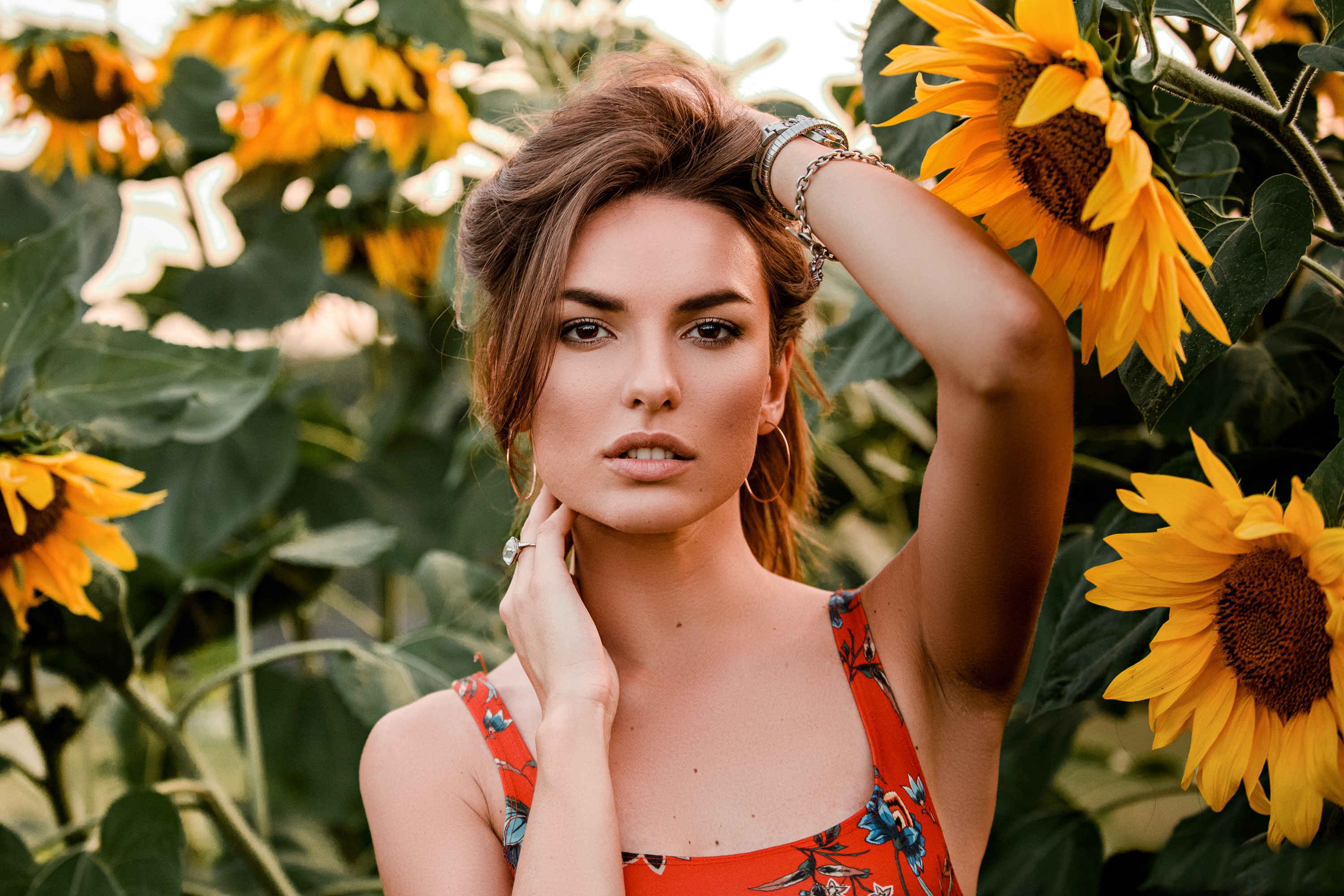 Summer Sunflower Beauty - HD Wallpaper