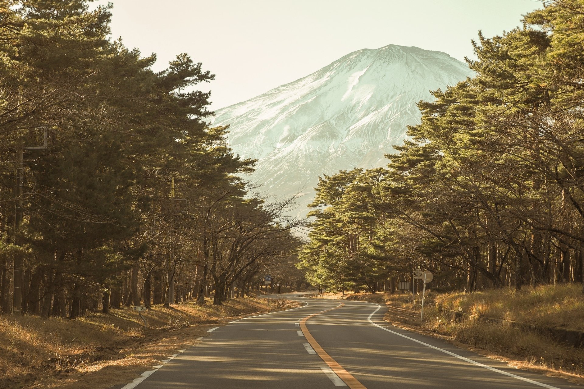 Download Mountain Forest Nature Man Made Road HD Wallpaper