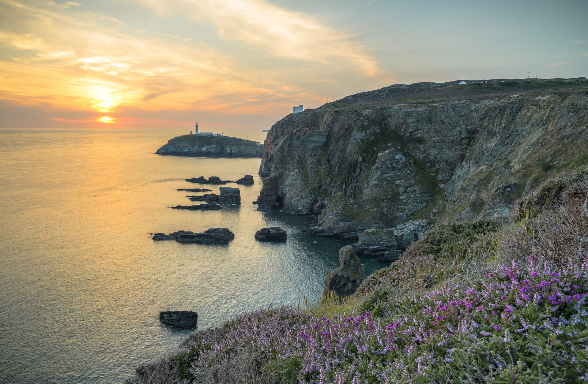 Download Horizon Lighthouse Sea Ocean Flower England Nature Coastline ...