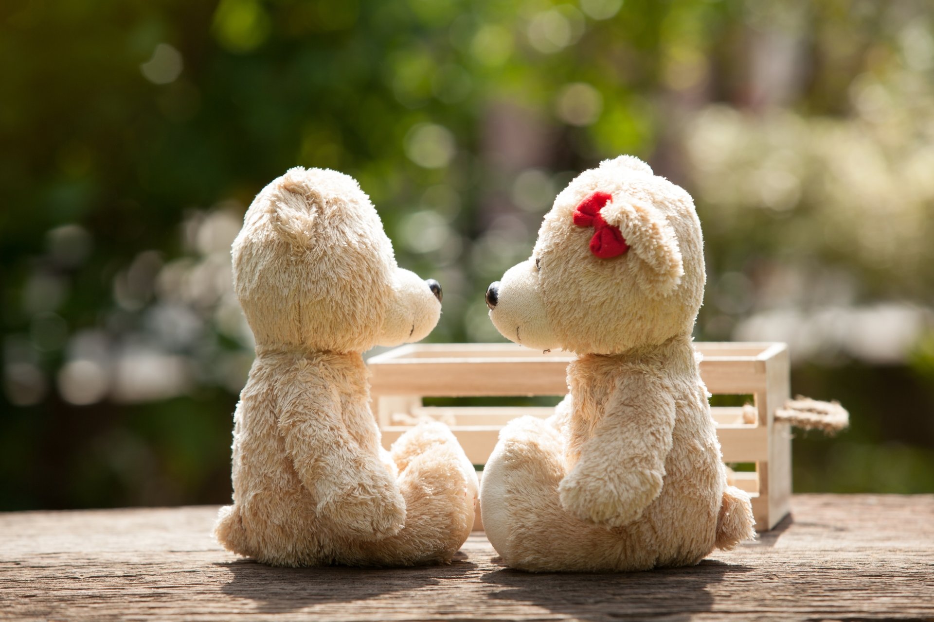 Download Love Depth Of Field Teddy Bear Man Made Stuffed Animal 4k ...